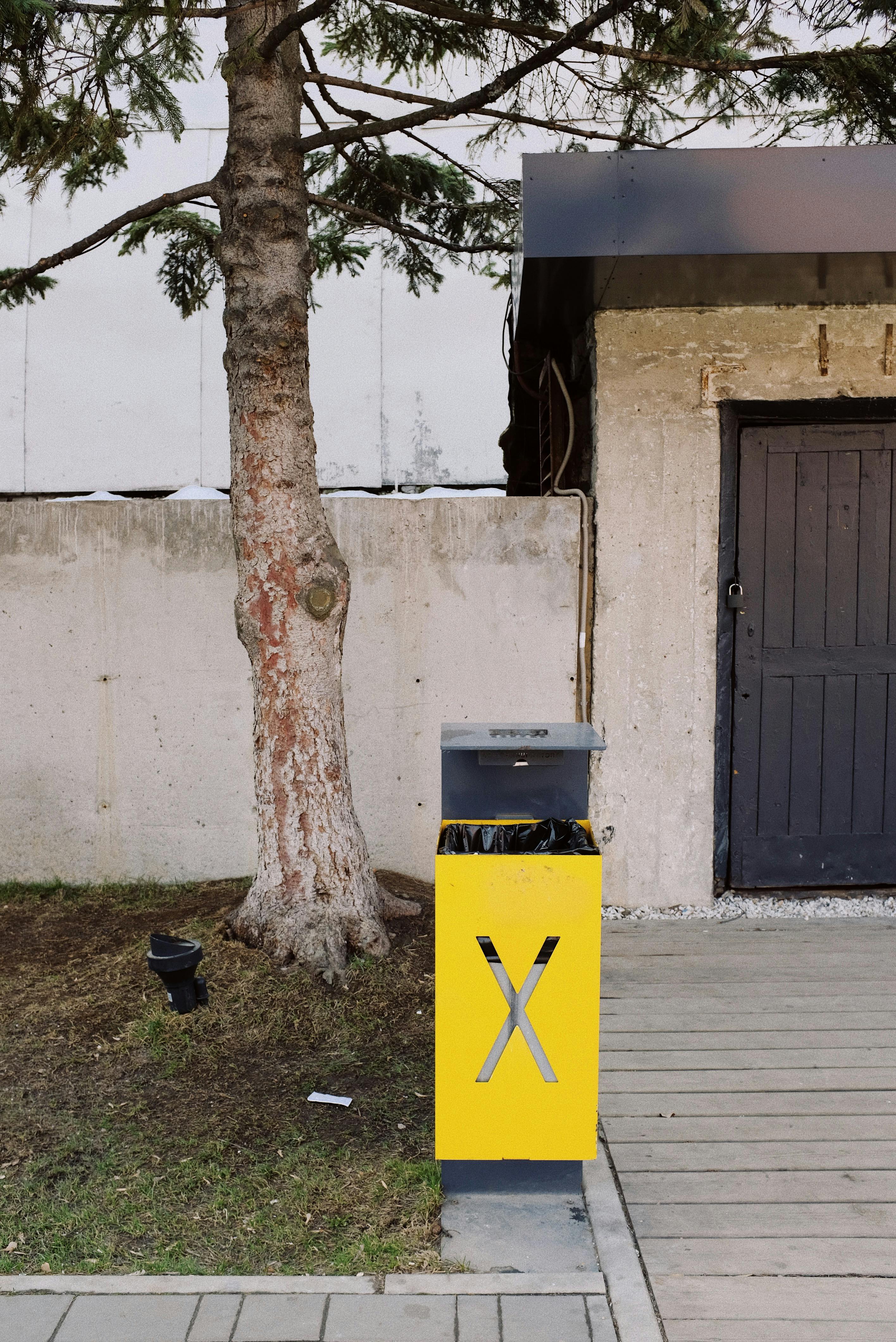 Yellow and Black Trash Bin Beside a Tree · Free Stock Photo