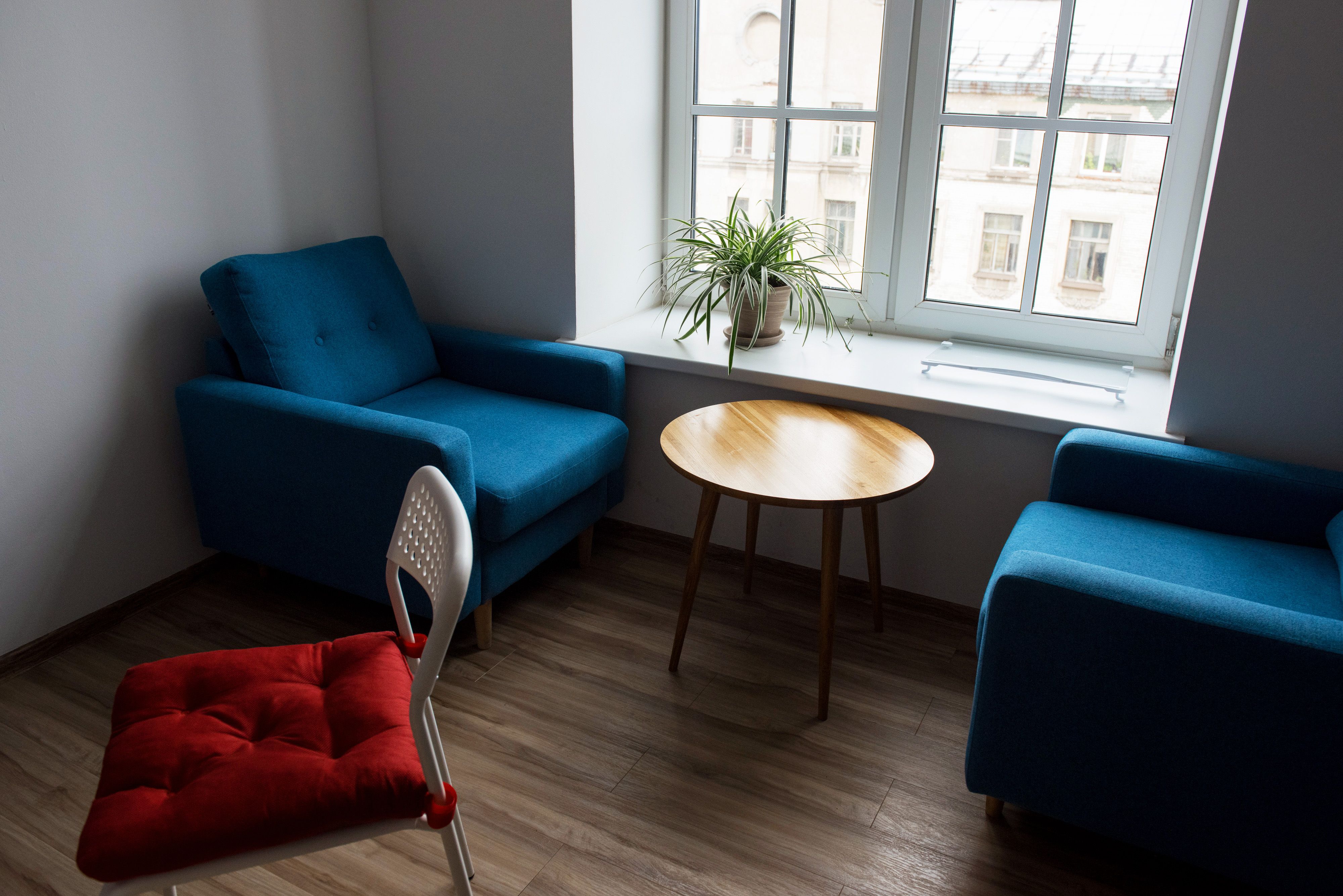 Interior of modern living room in cozy apartment · Free Stock Photo