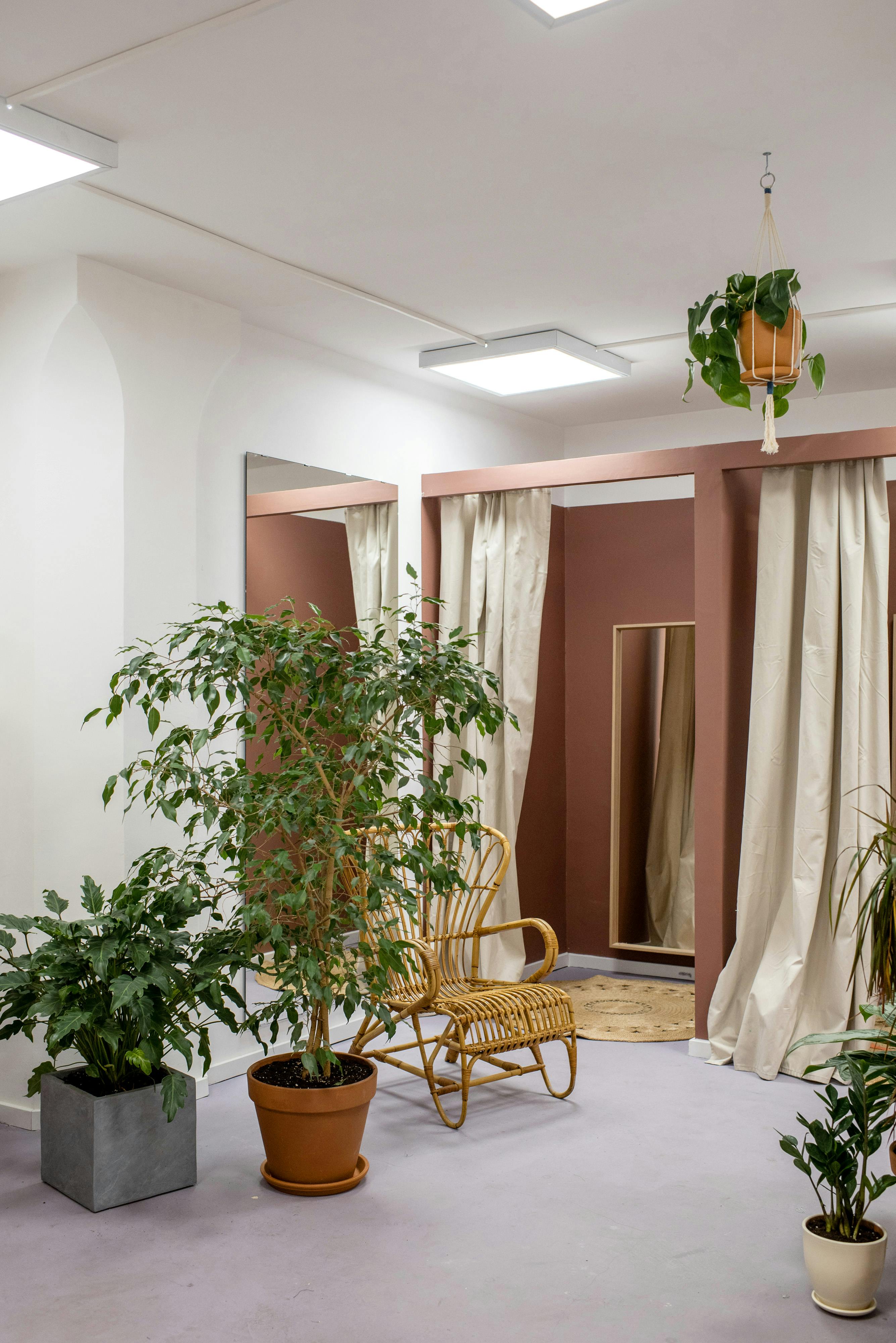 9,000+ Best Store Photos · 100% Free Download · Pexels Stock Photos