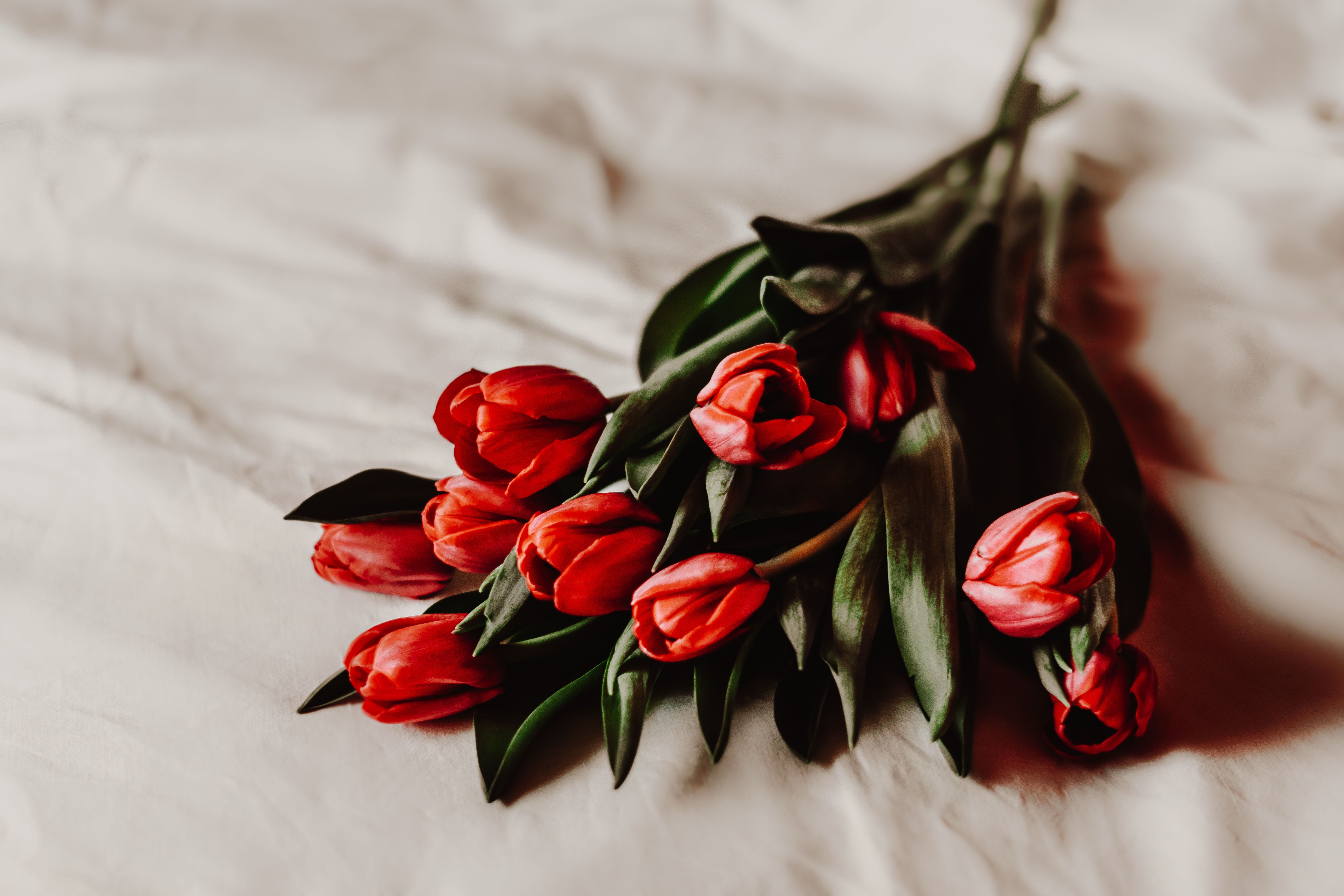 1000+ Amazing Beautiful Life Photos Pexels · Free Stock Photos