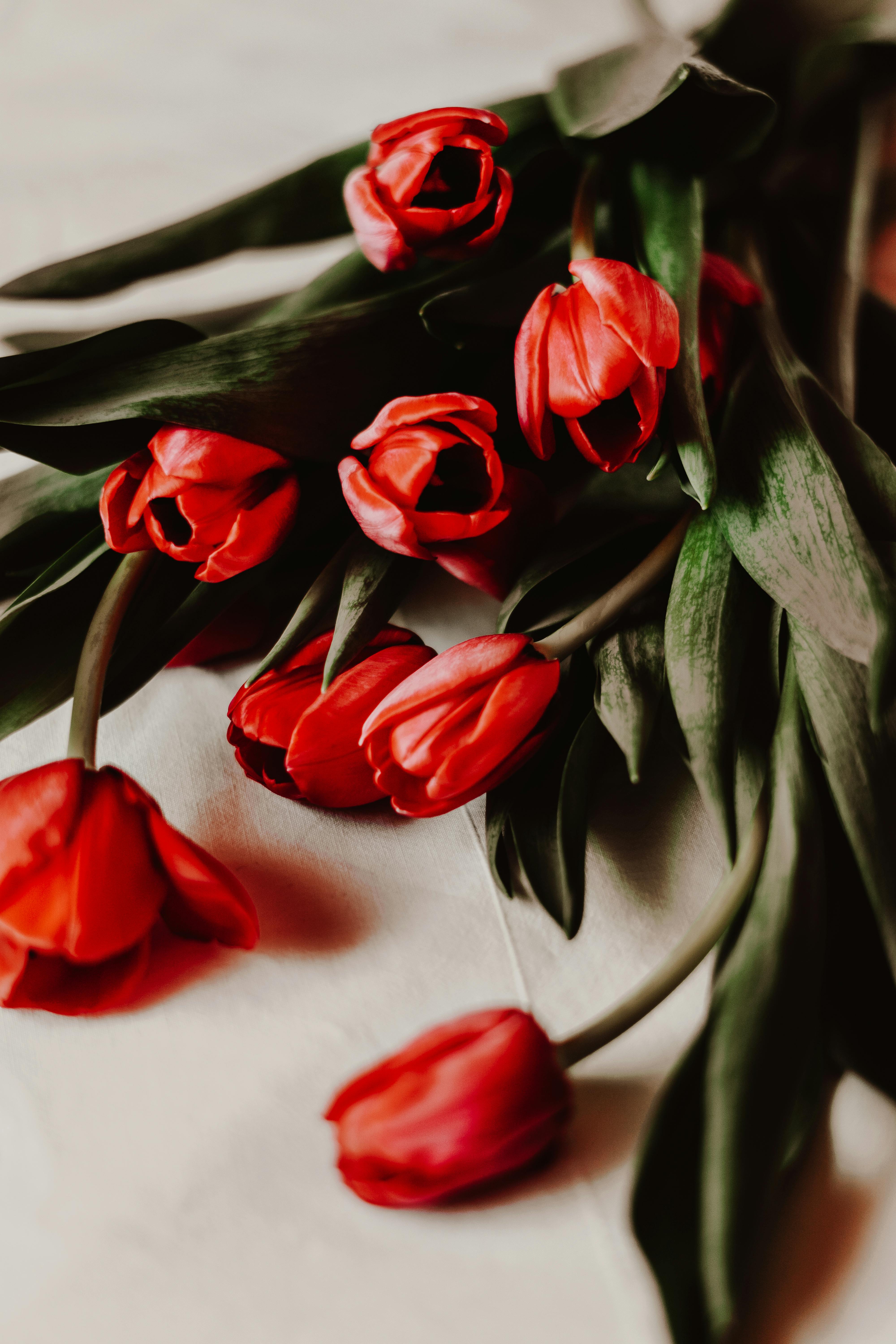 Flowers · Pexels