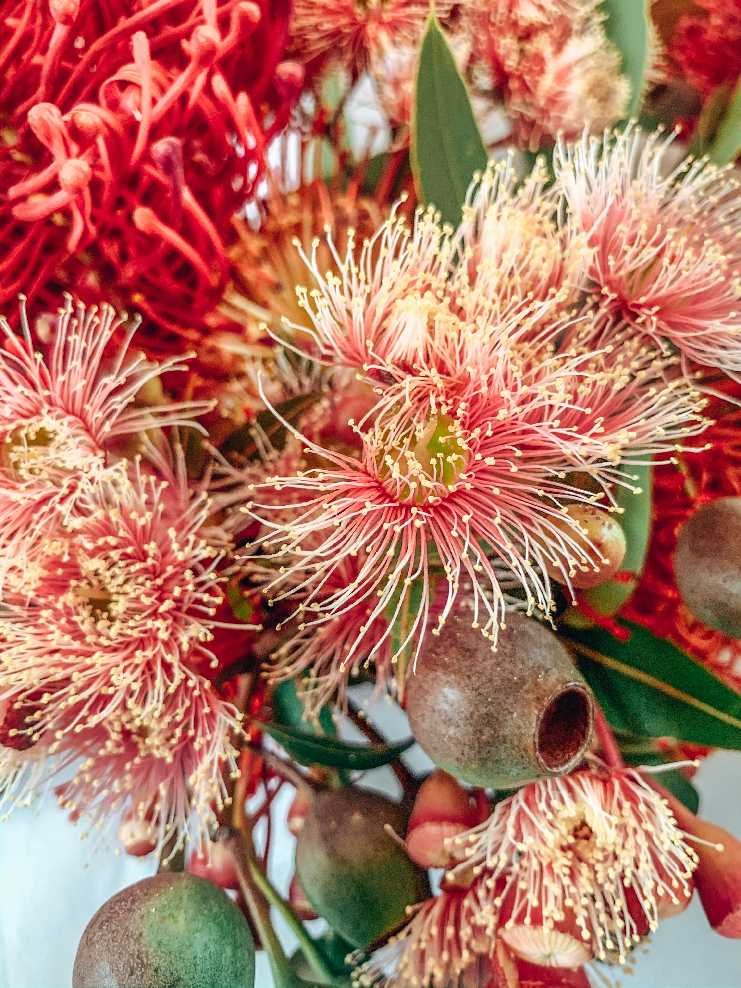 Chelsea Cook · Photography