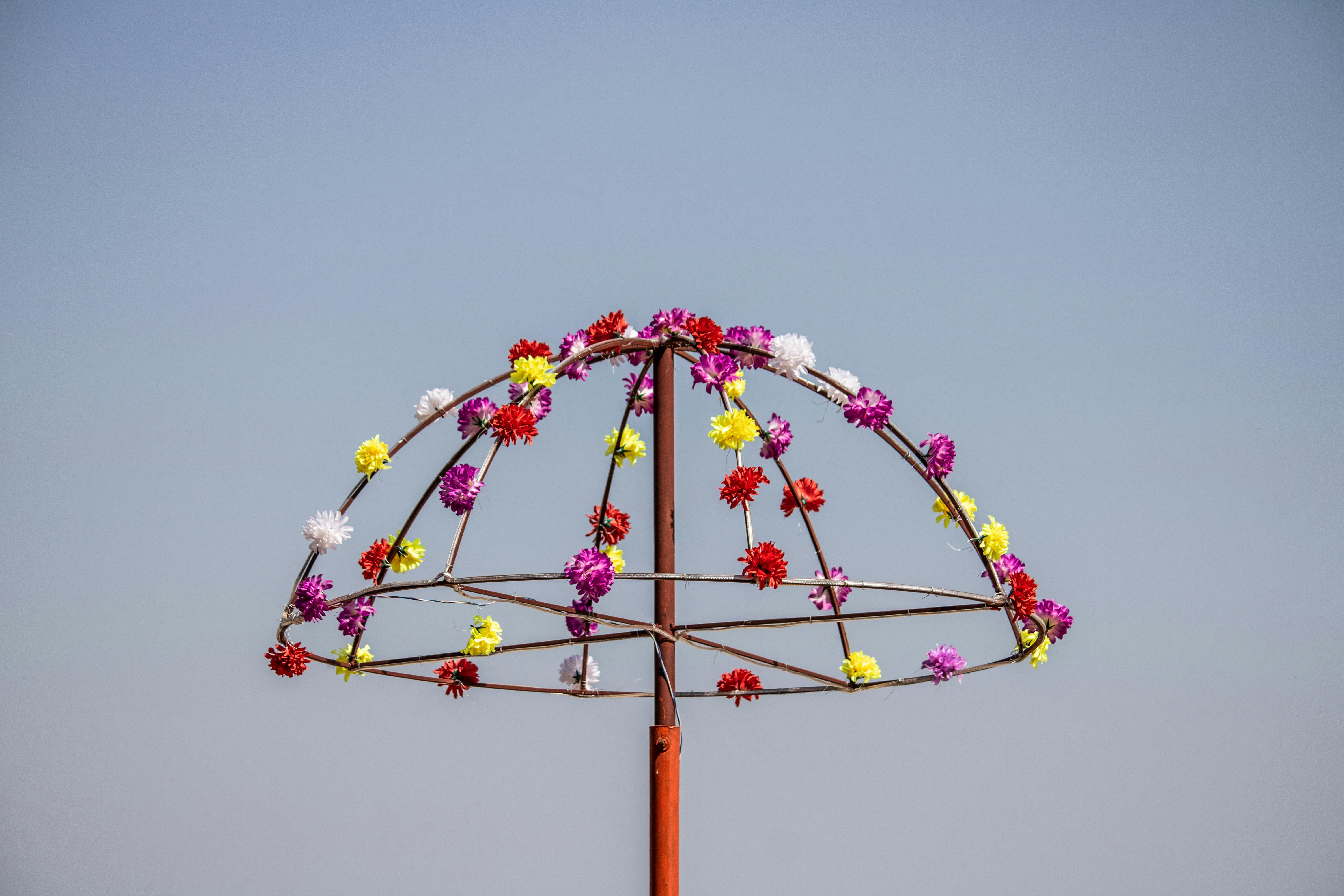 4,000+ Best Places Photos · 100% Free Download · Pexels Stock Photos