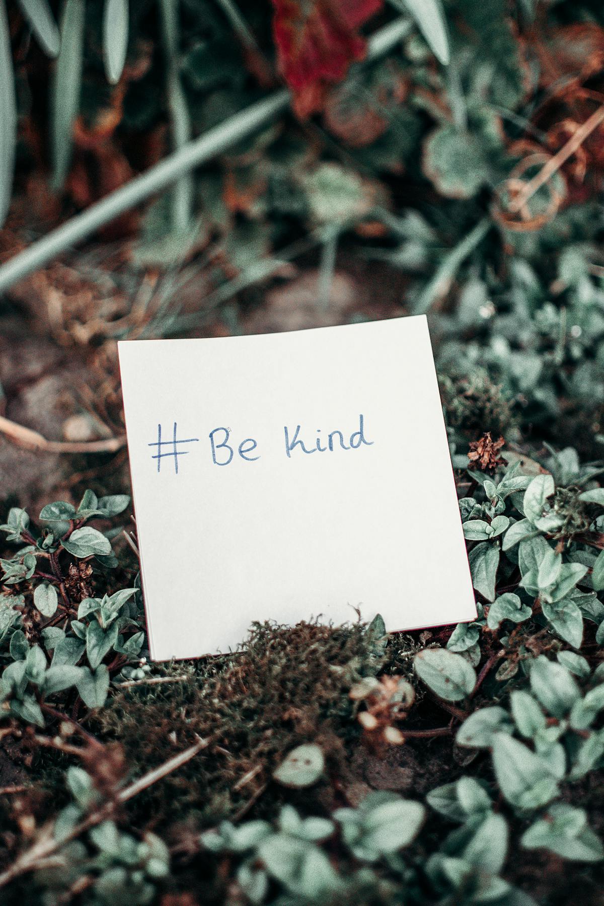 Kindness Photos, Download The BEST Free Kindness Stock Photos & HD Images