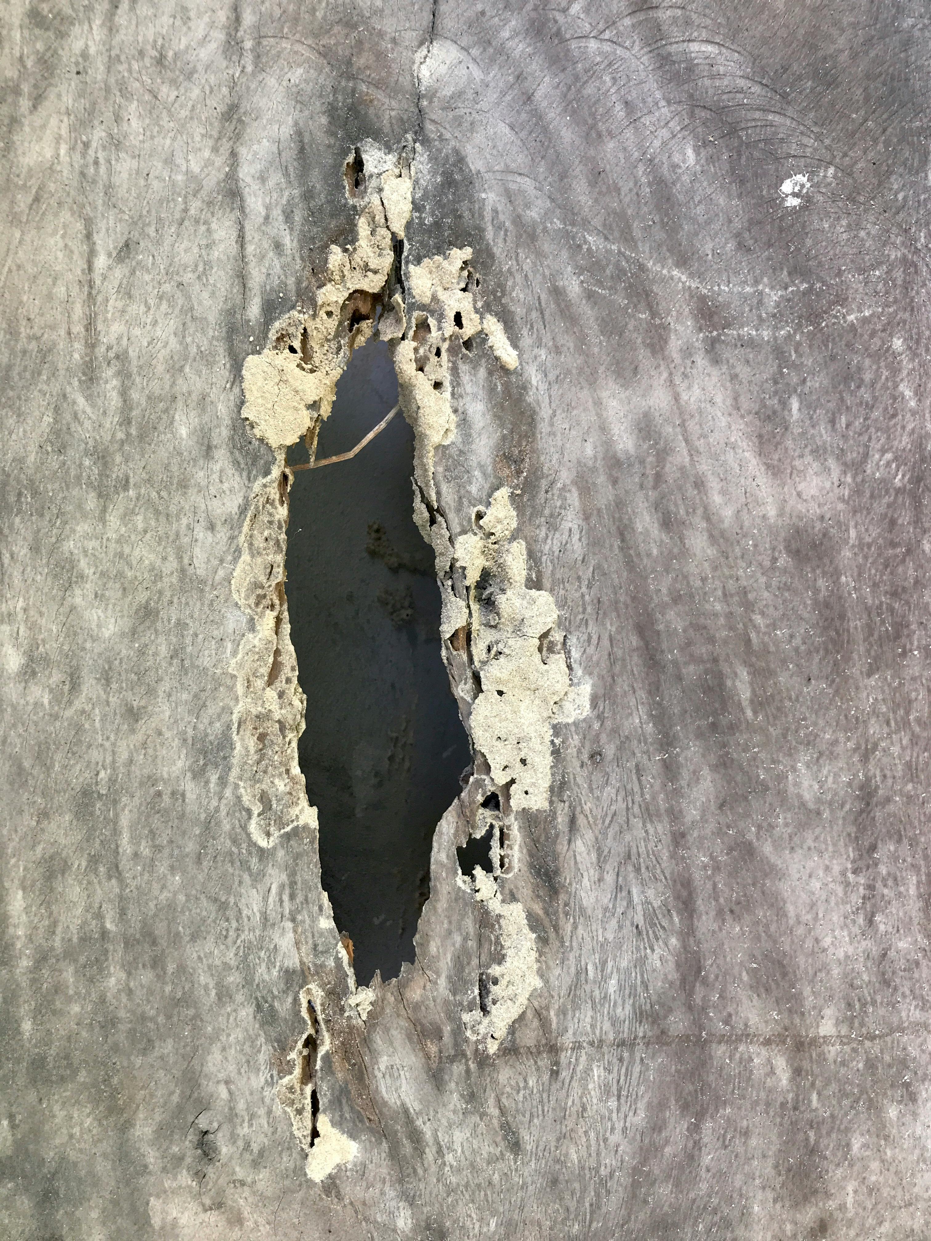 TEXTURE_MATERAIL 84 Photos & Videos Collected by 39422 Studio