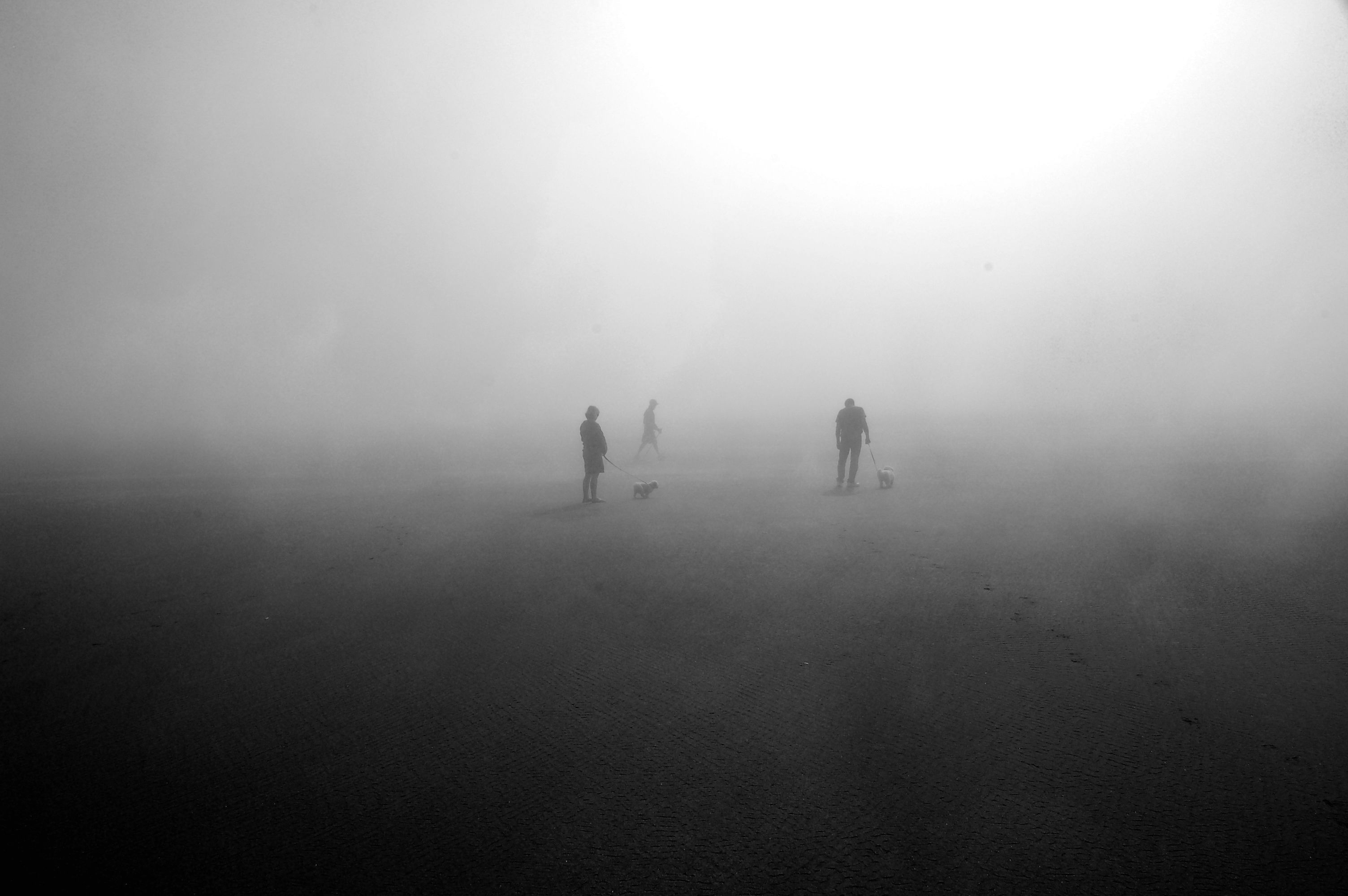 Grayscale Photo Of People · Free Stock Photo
