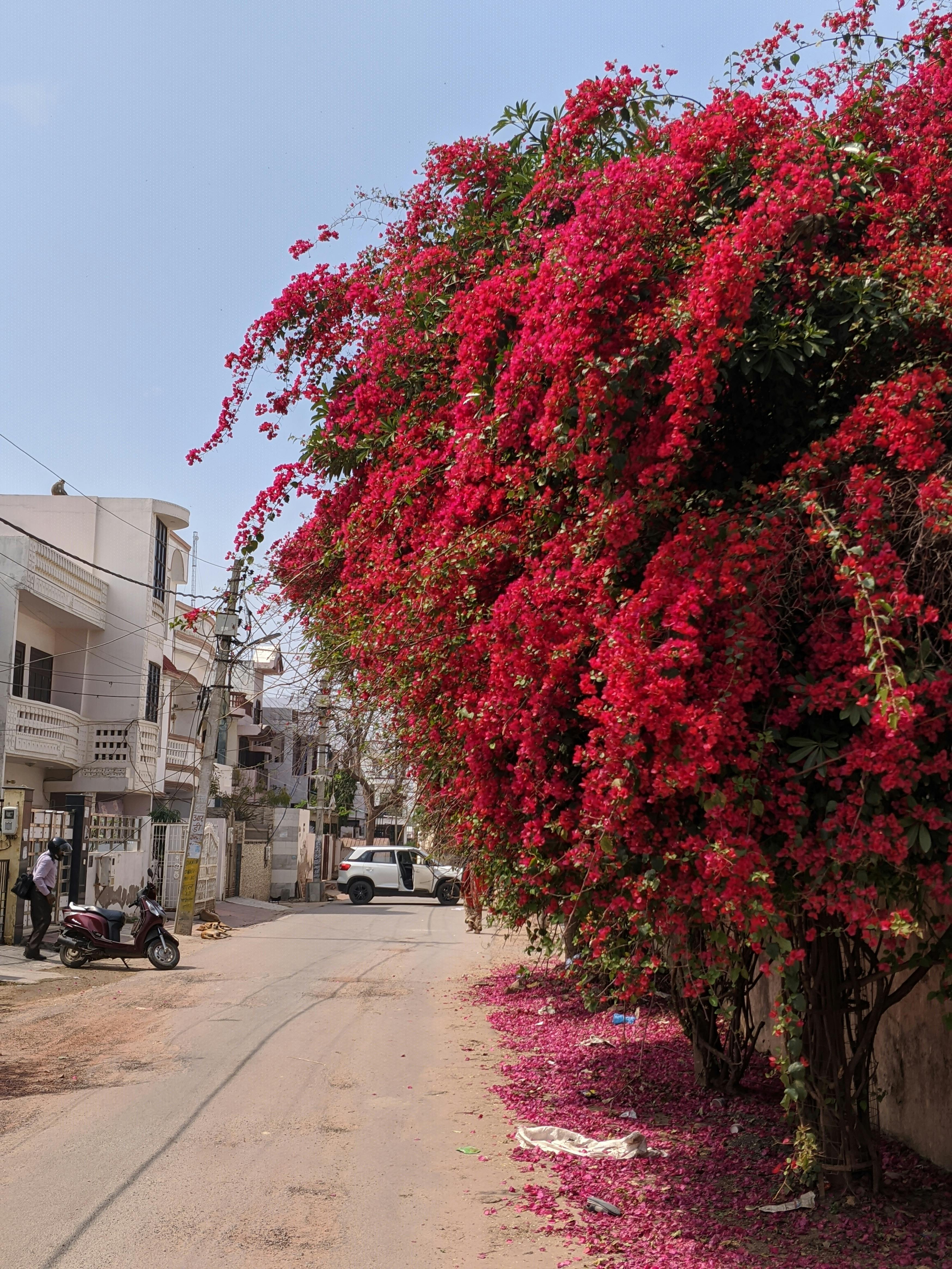 India 17 Photos & Videos Collected by Kinshuk Chandra