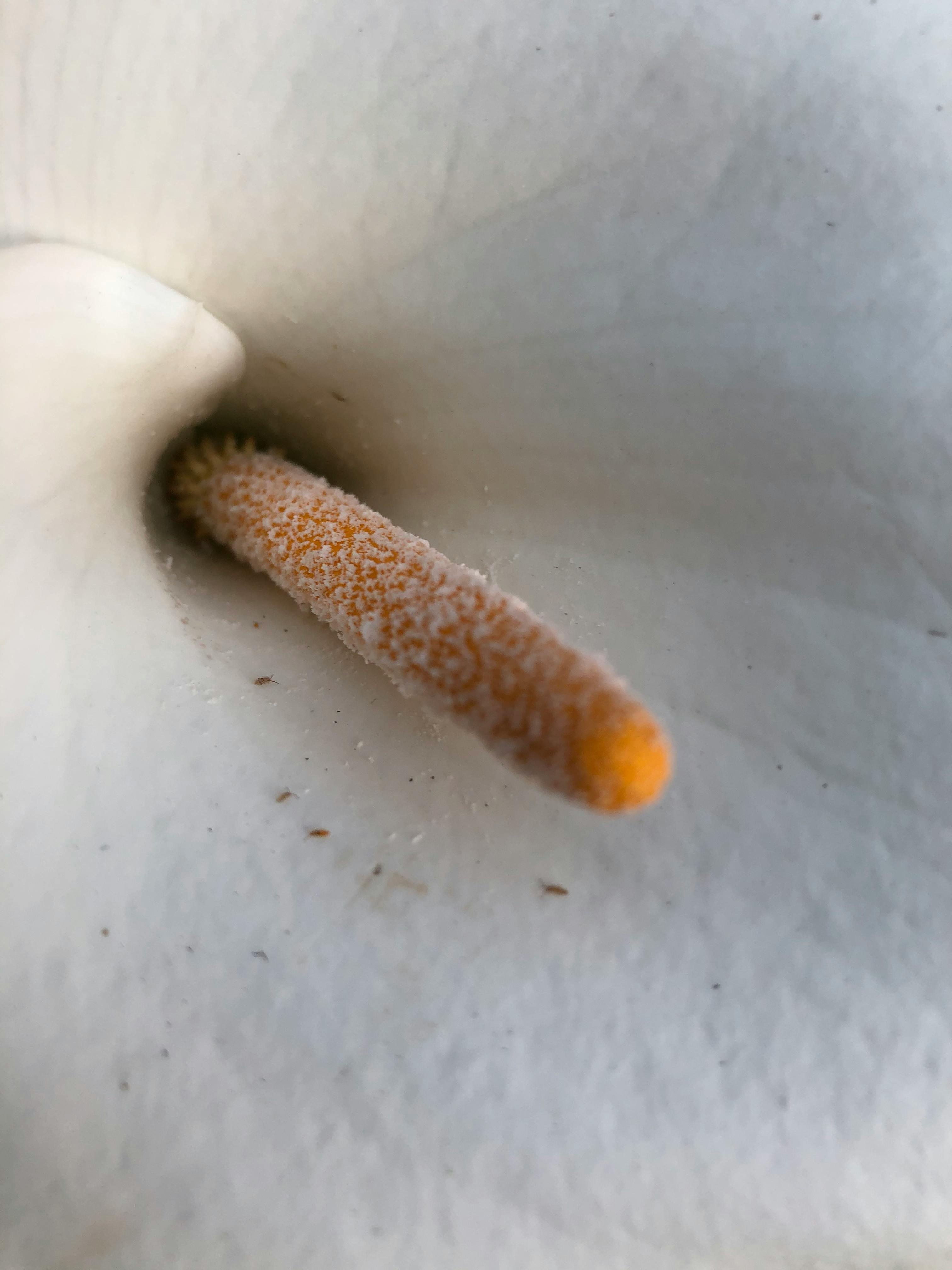 Natural 10 Photos & Videos Collected by Jean-Marc Tedesco