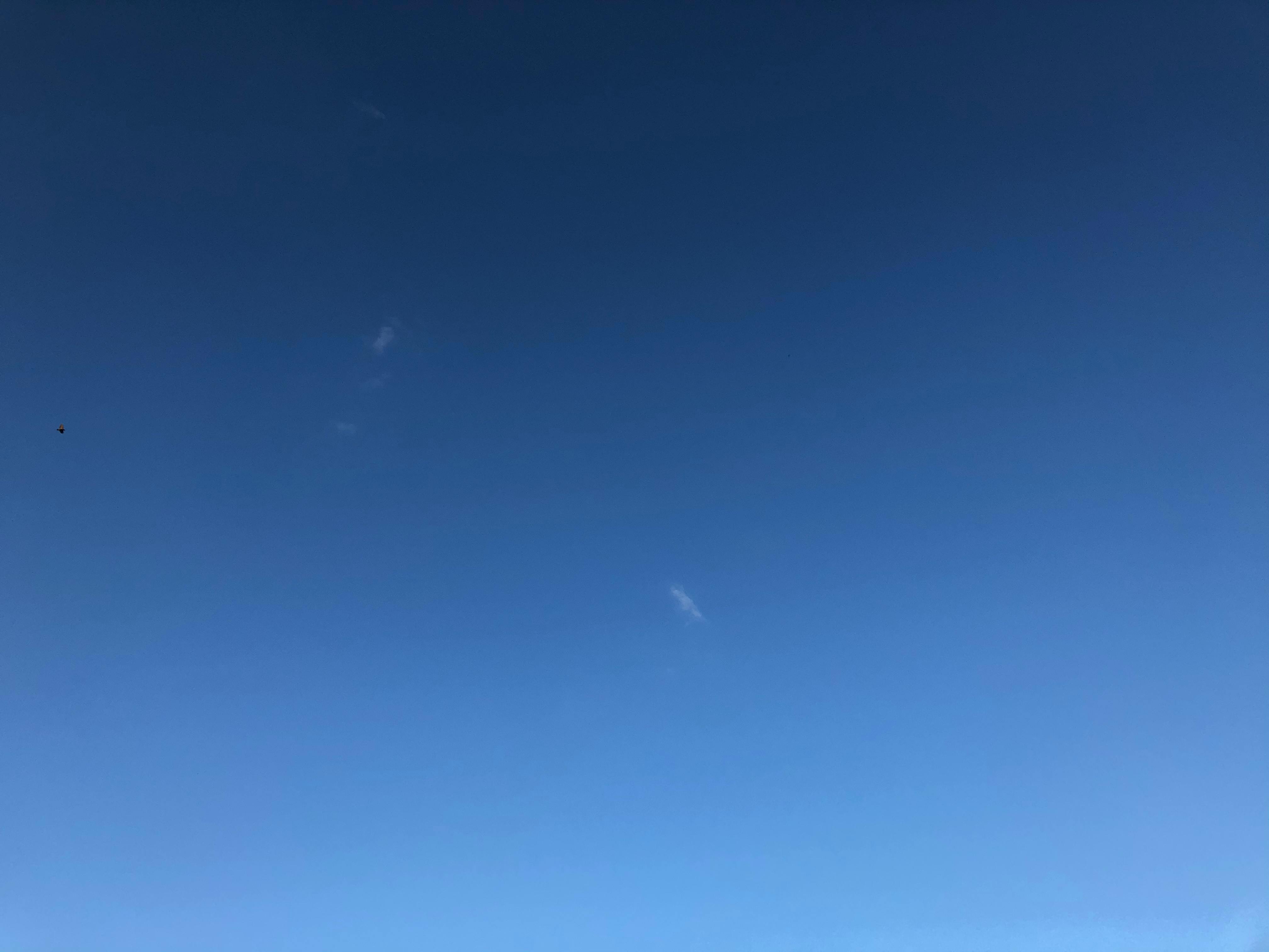 Jean-Marc Tedesco - 摄影