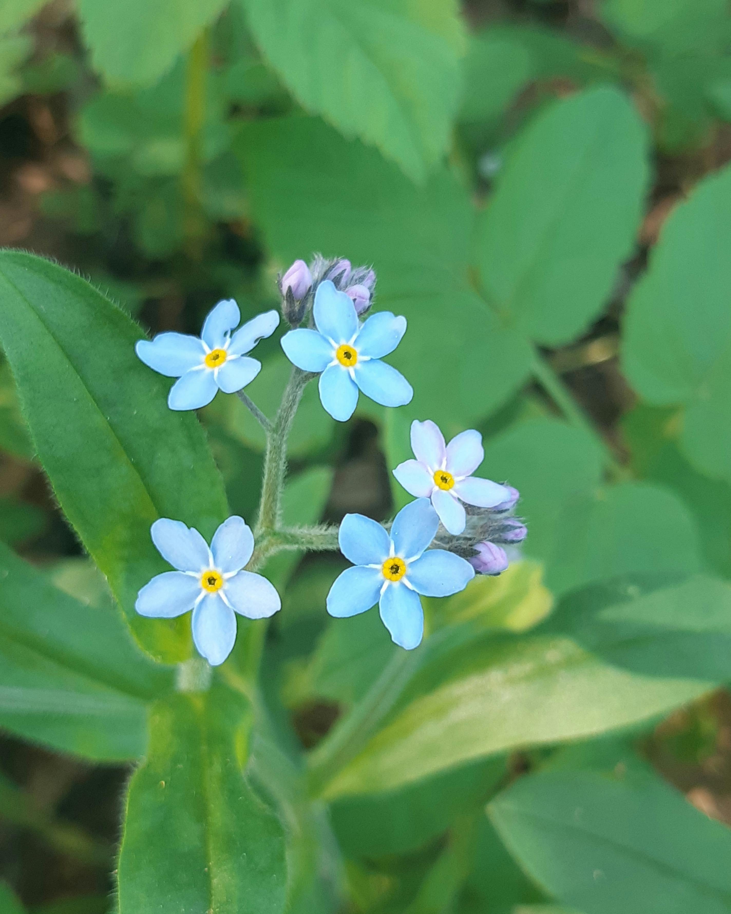 Yuliia Koliada - Photography