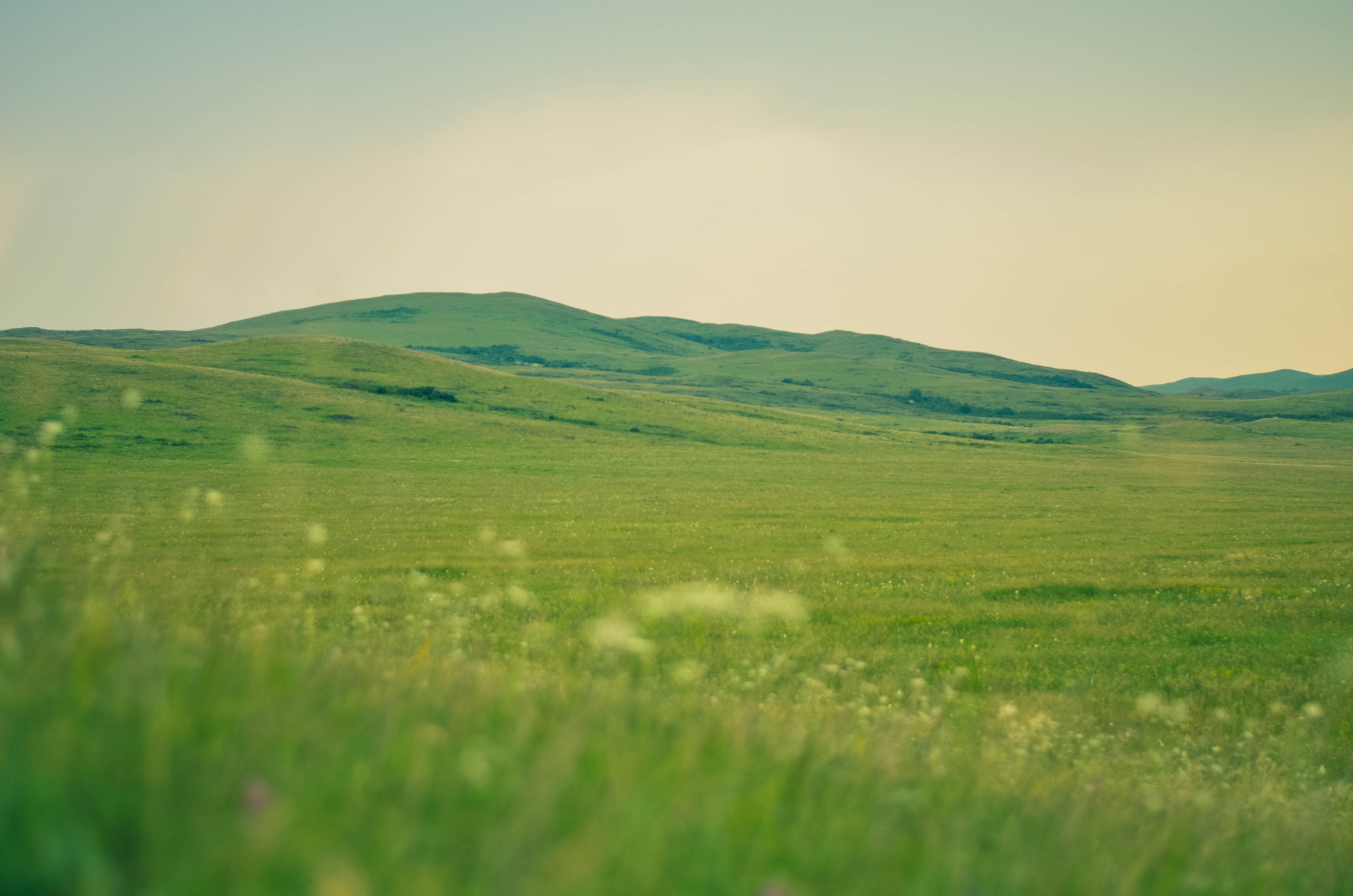 Kostenloses Foto zum Thema: berge, gras, grün