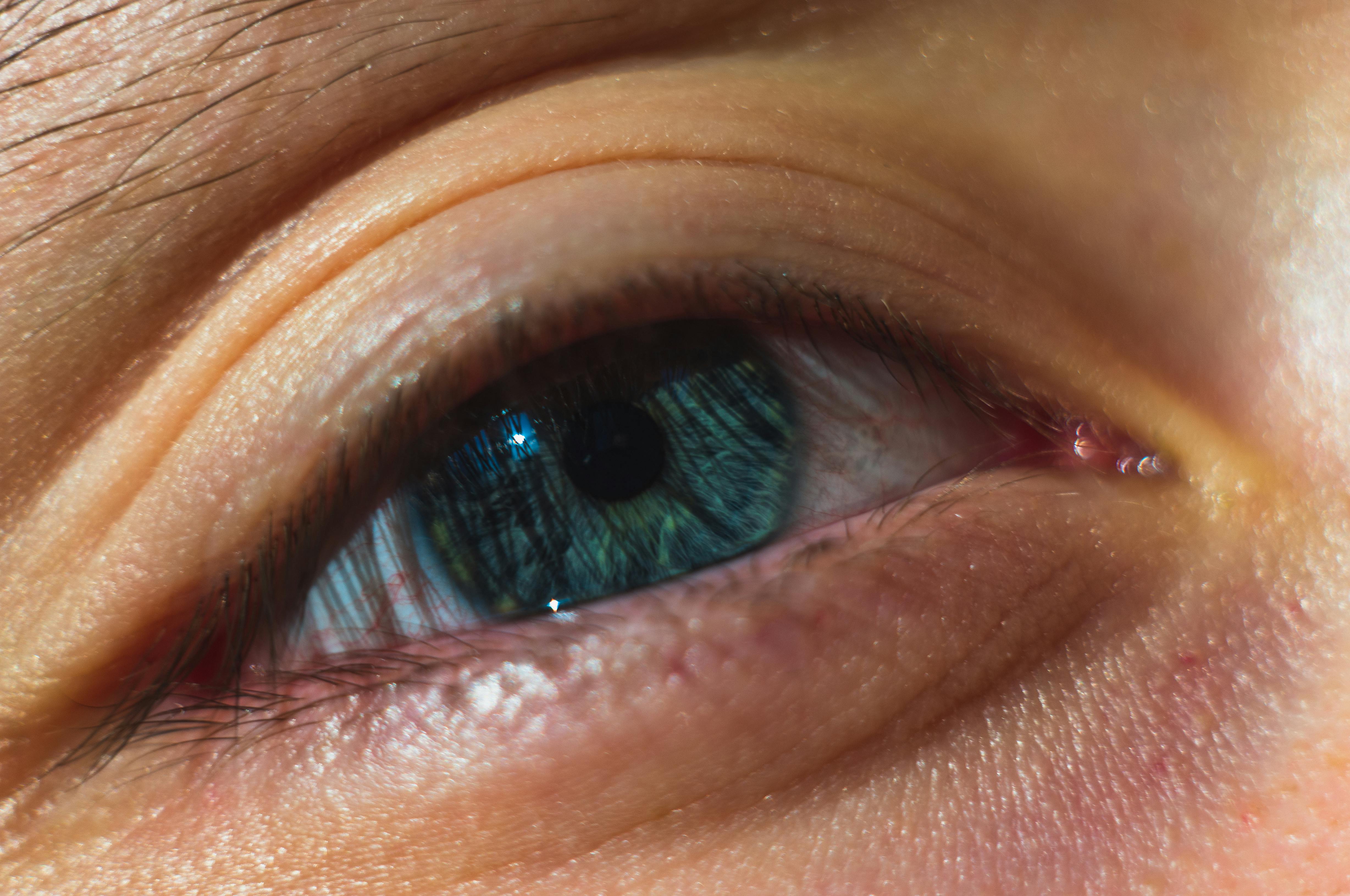 Close-up Photo of Person's Eye · Free Stock Photo