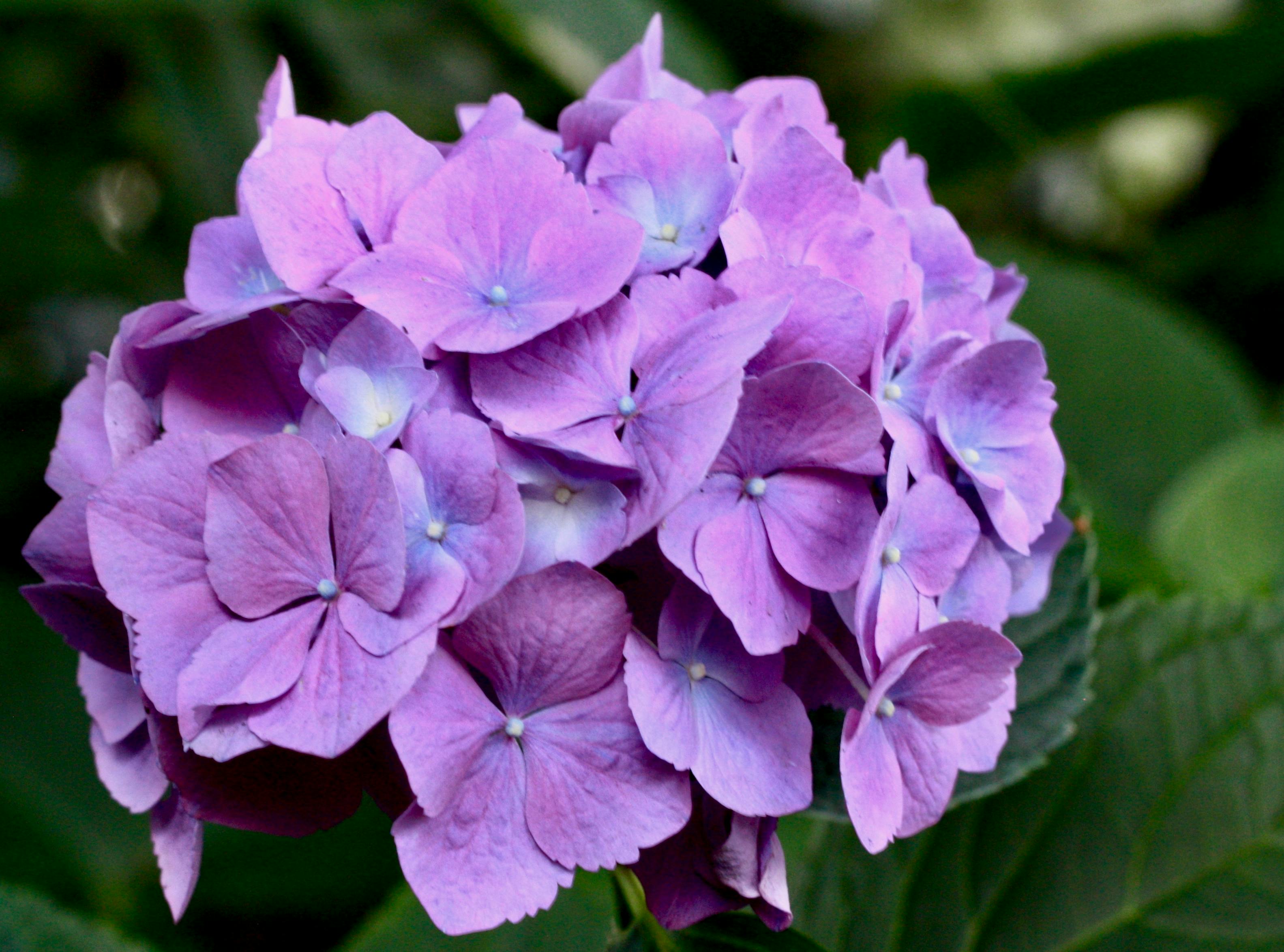 Eric Lane Barnes - Fotografía