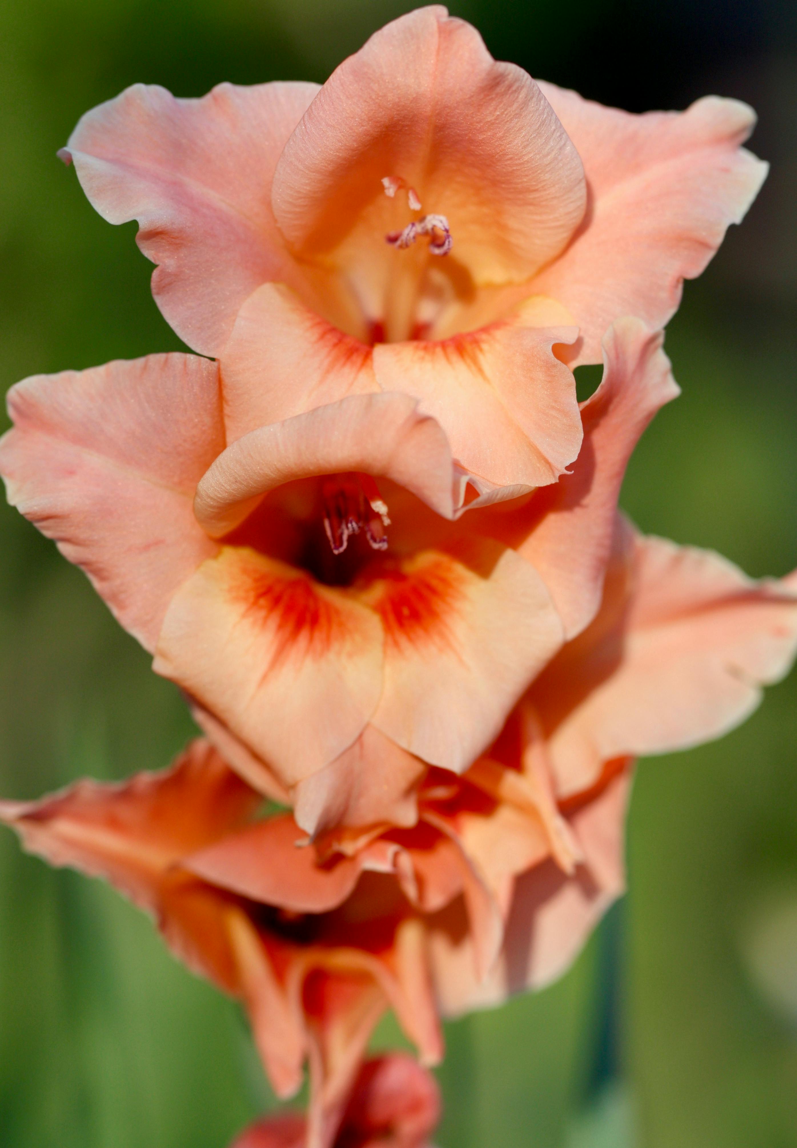 Eric Lane Barnes - Photographie