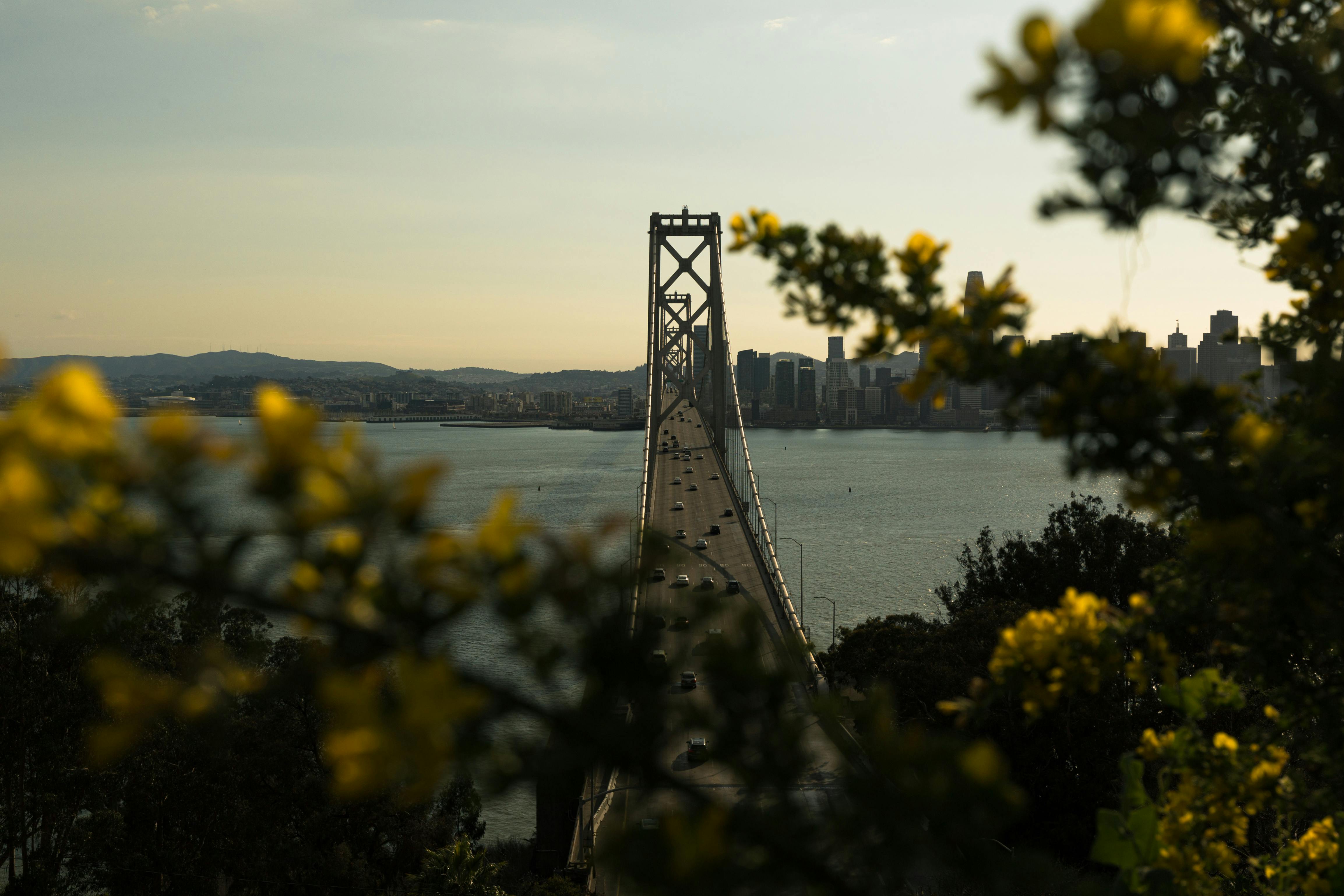 Steel Bridge · Free Stock Photo