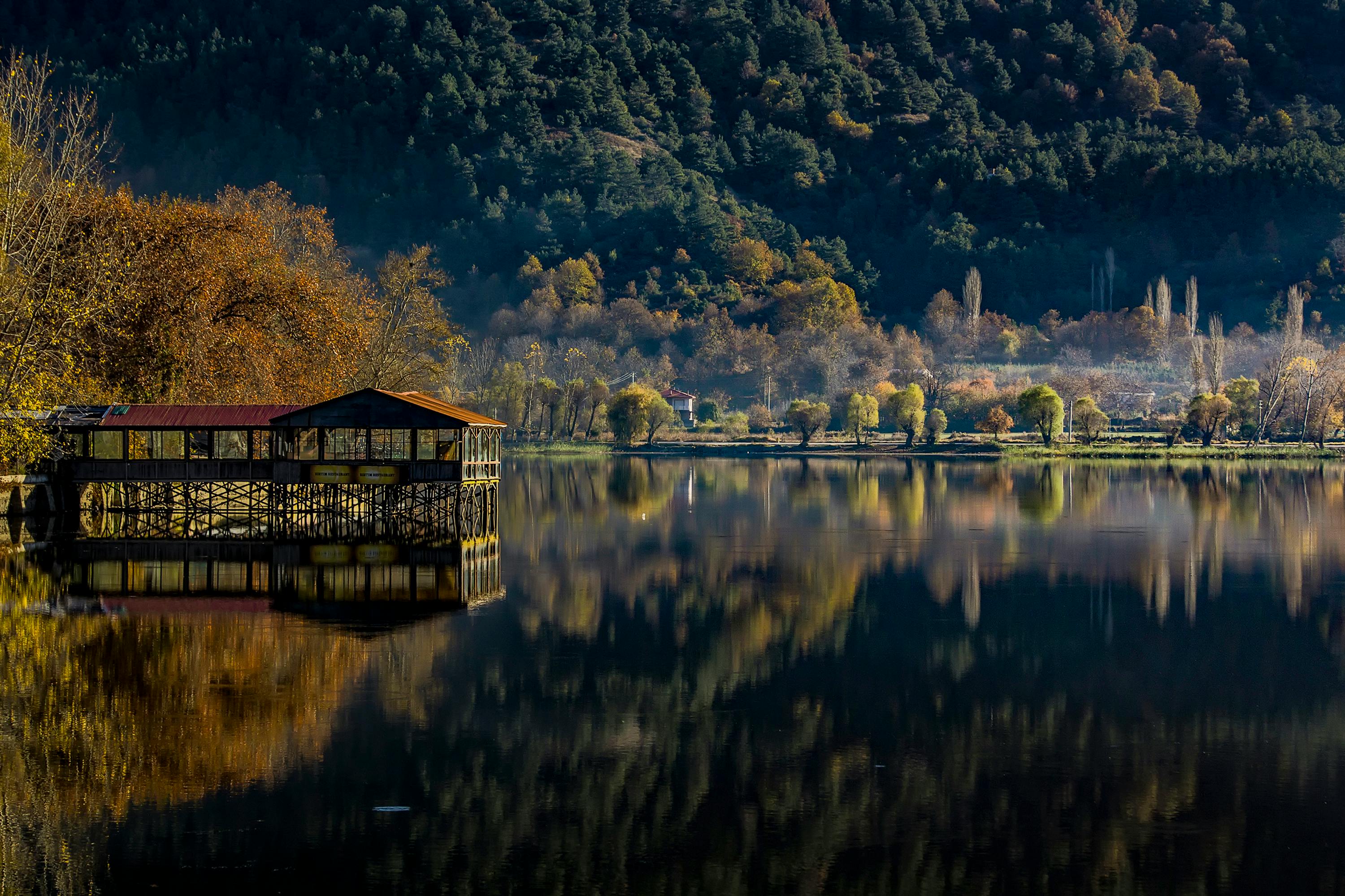 64+ Best Free Kiosk Stock Photos & Images · 100% Royalty-Free HD Downloads