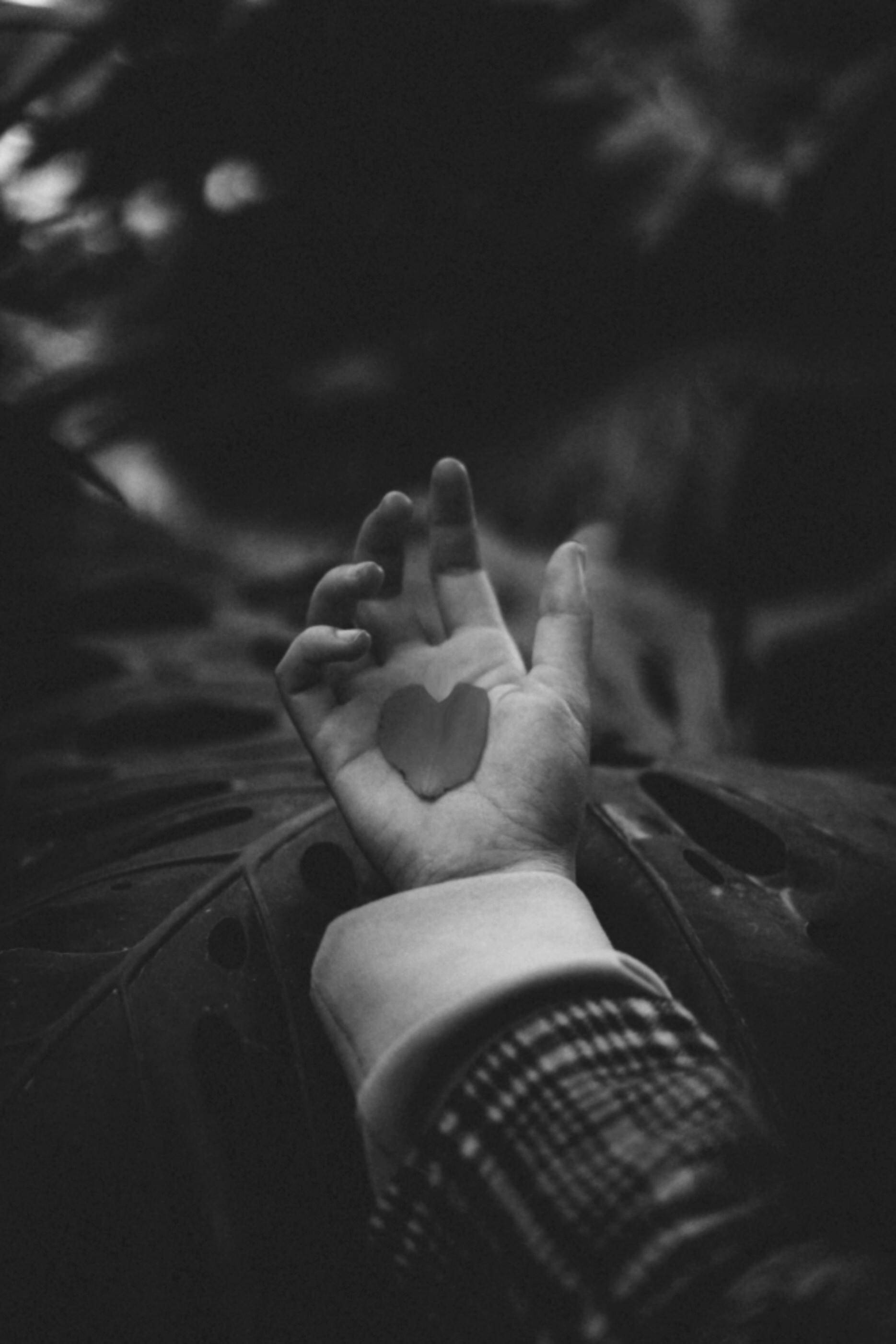Grayscale Photo Of Person's Hand · Free Stock Photo