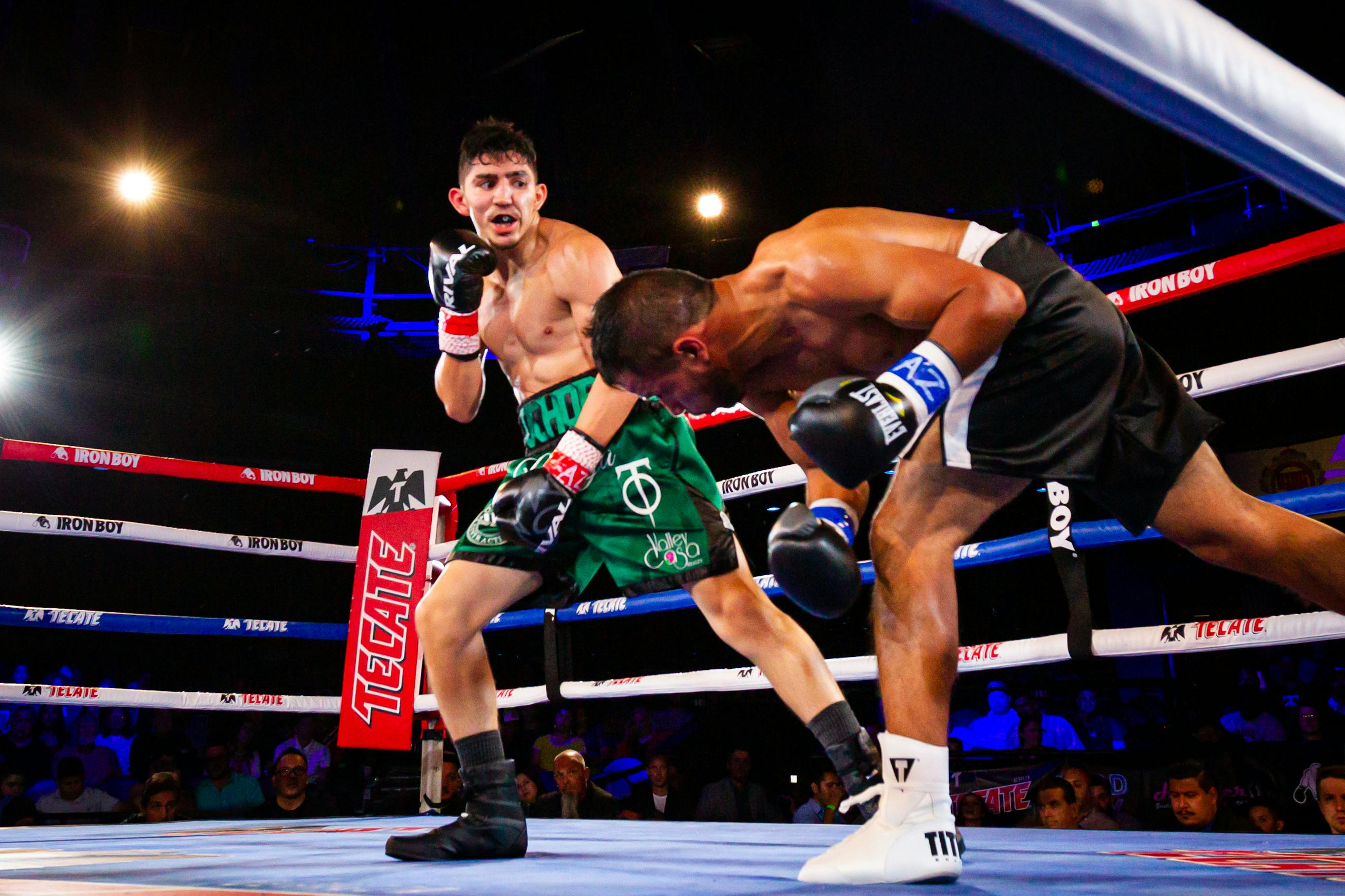 Foto profissional gratuita de anel de boxe, artes conjugais, boxe