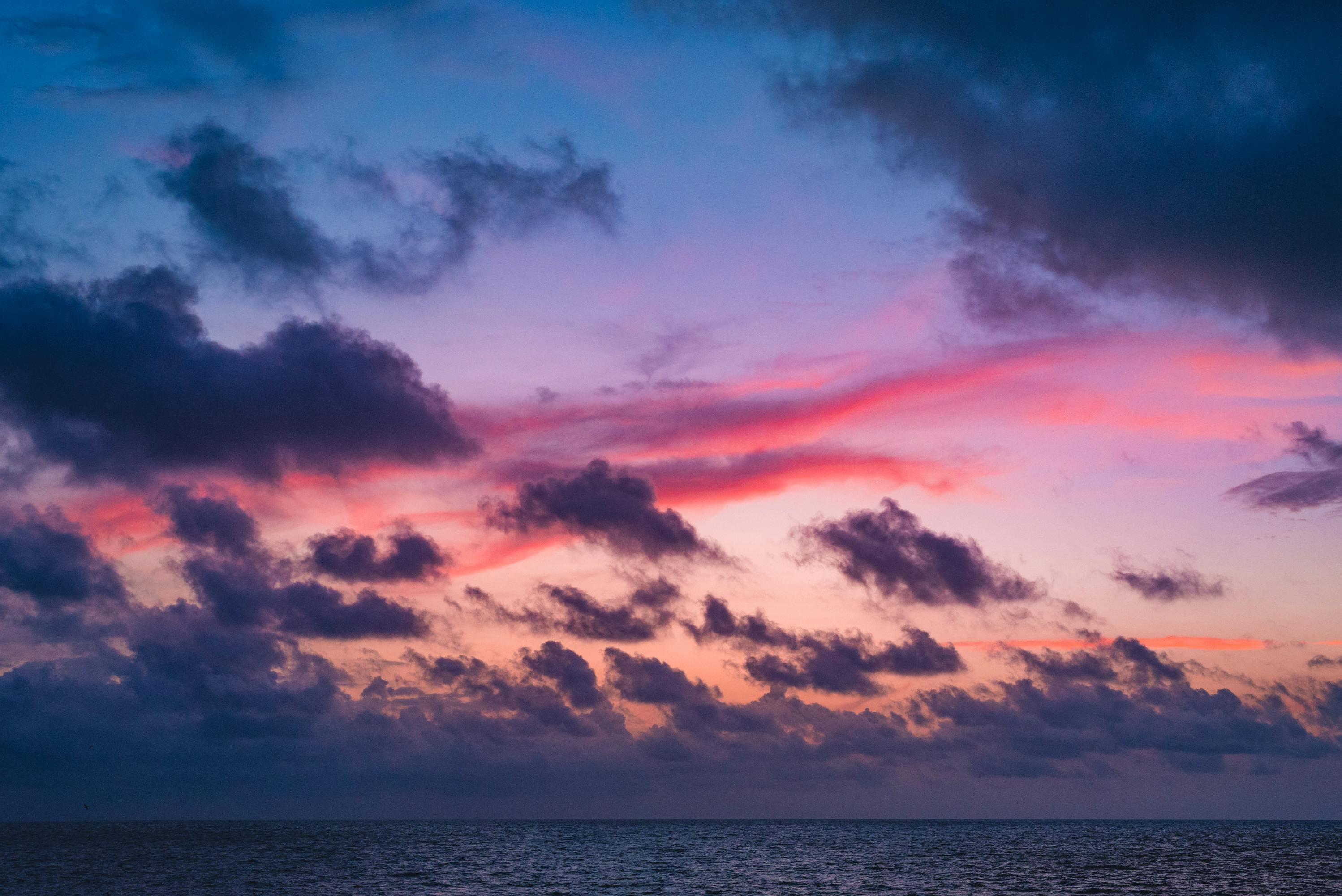 Frank Rivero - Fotografía