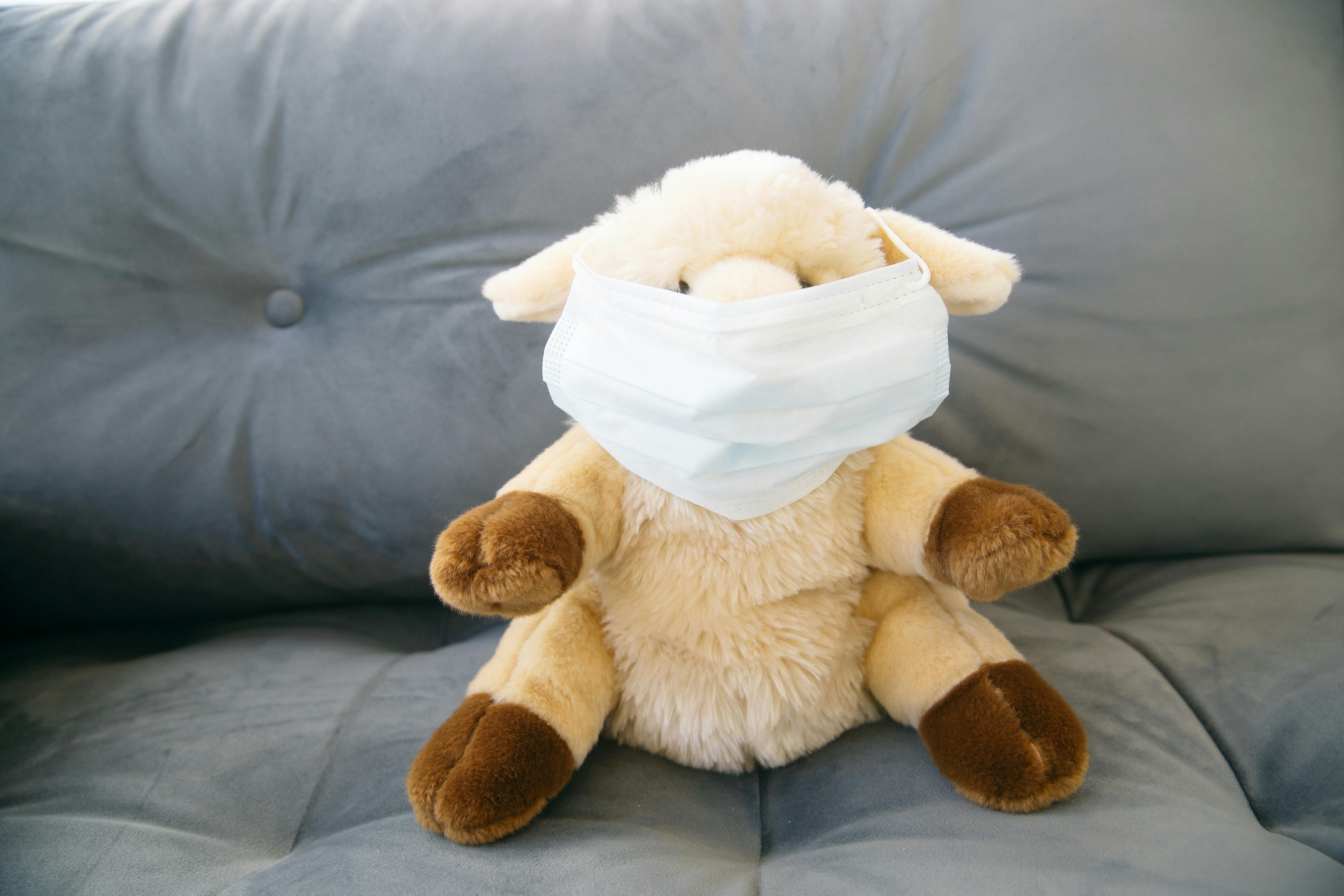 Sheep Doctor Photos, Download The BEST Free Sheep Doctor Stock Photos ...