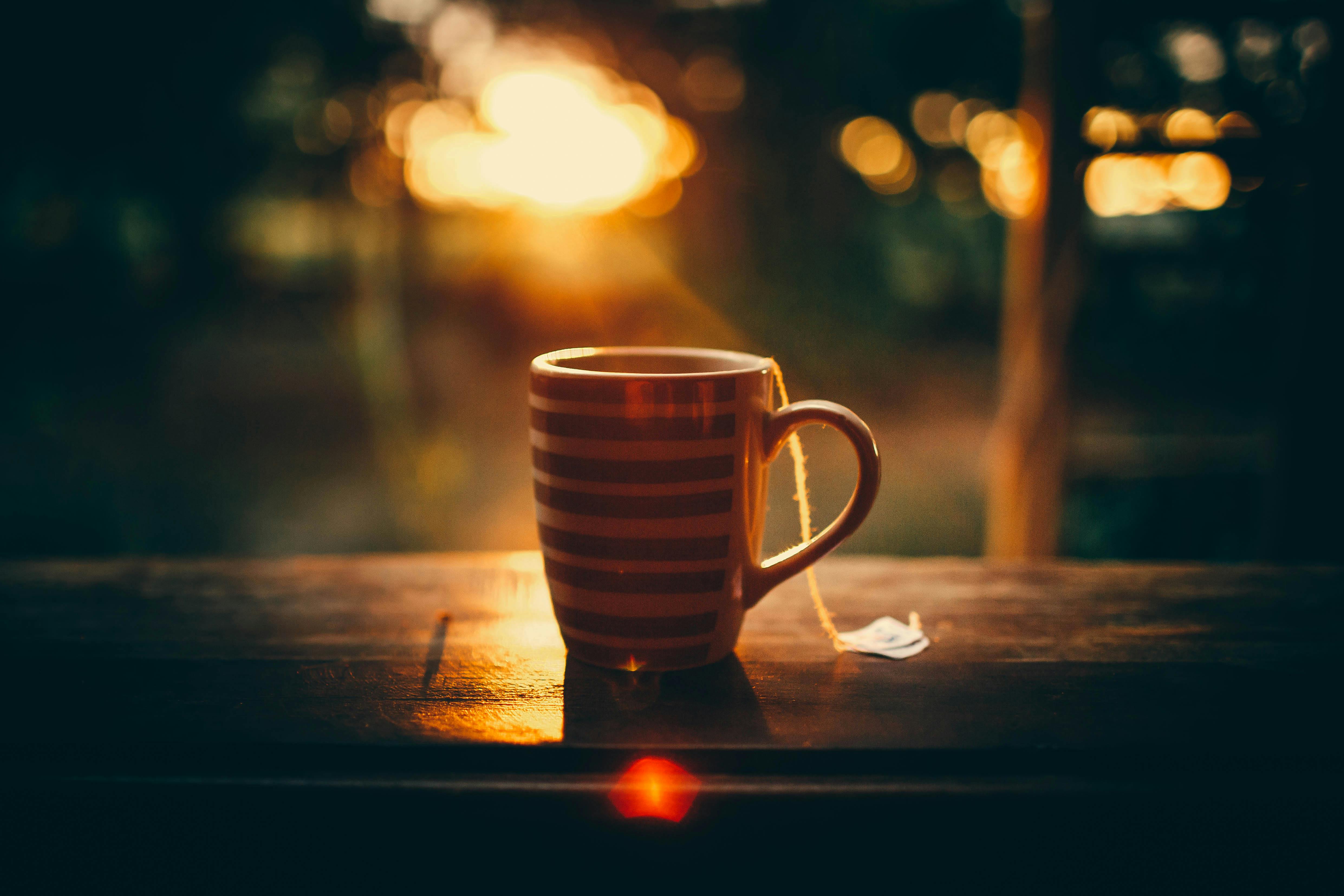Cup of tea against tropical forest during sunset · Free Stock Photo