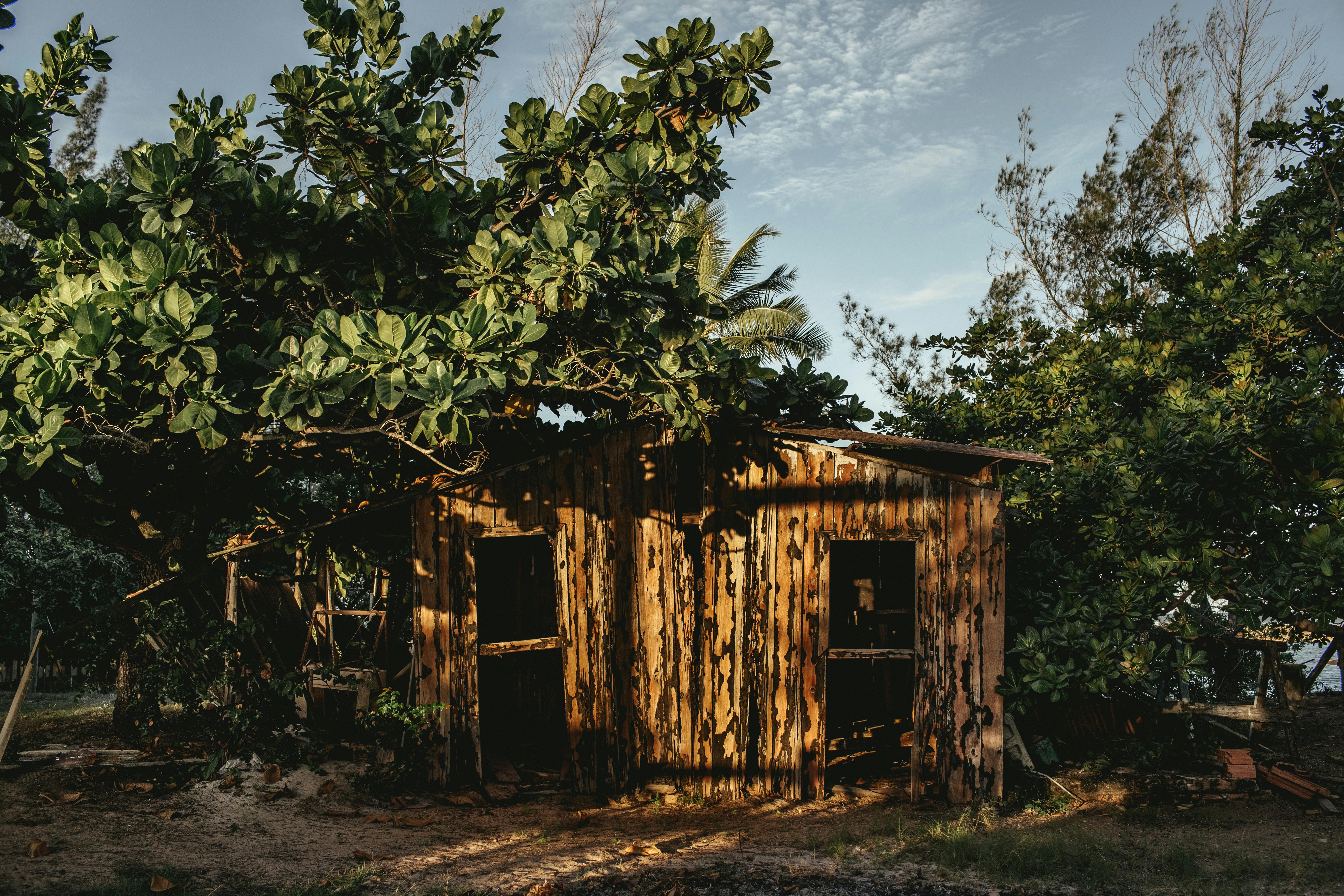 Rainforest Destroy Photos, Download The BEST Free Rainforest Destroy ...