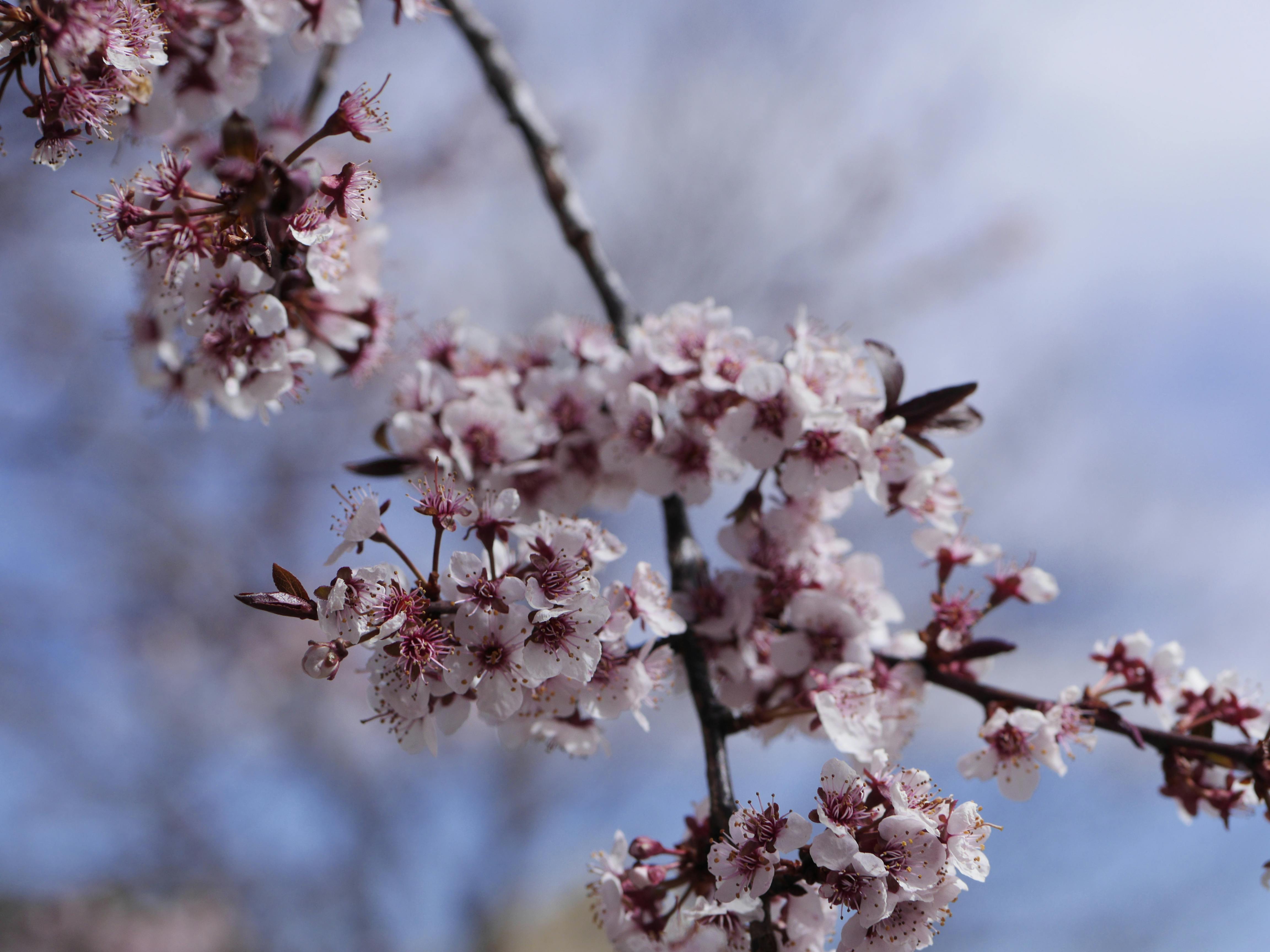 Eric Versaw - 사진