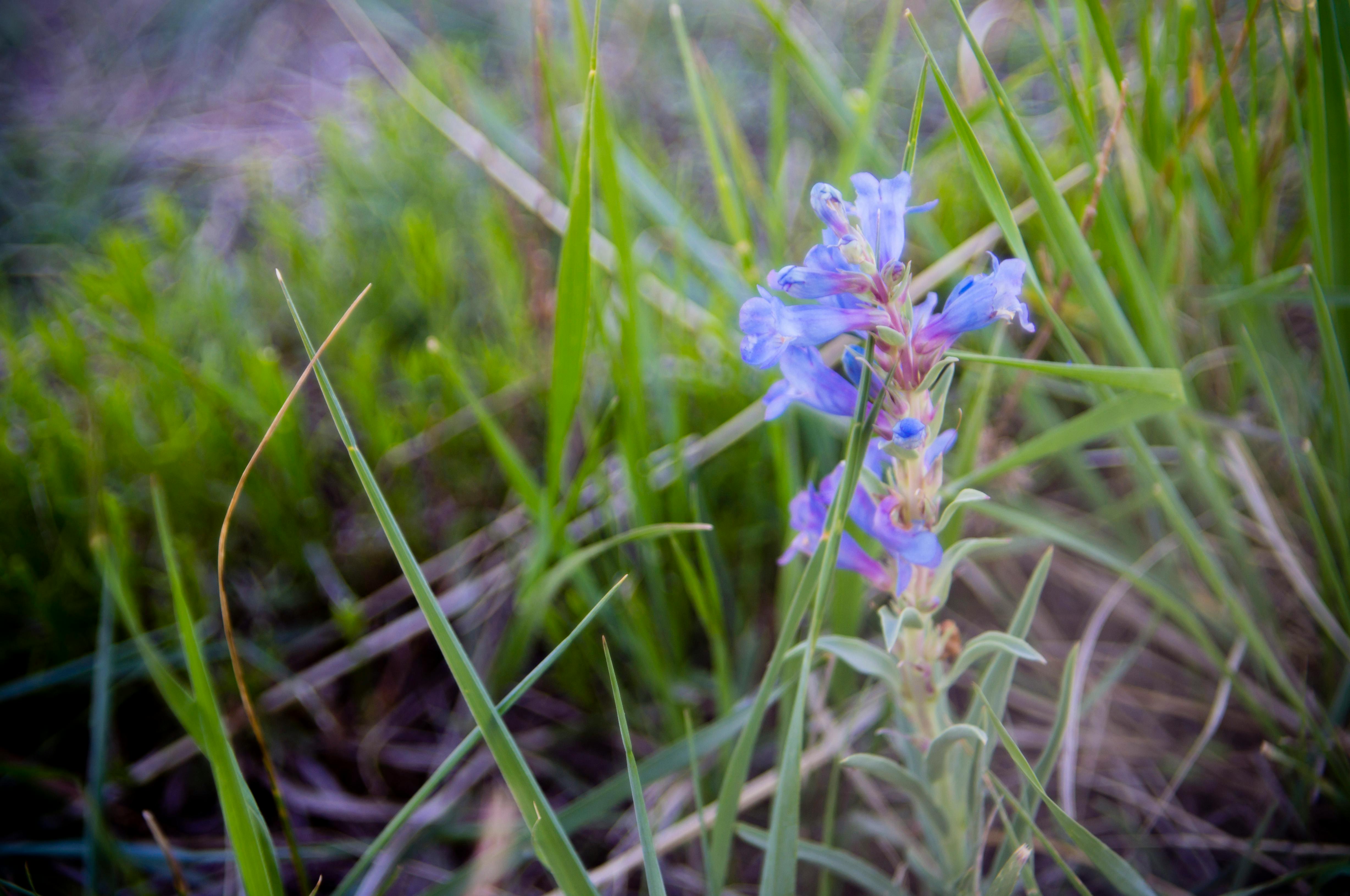 Eric Versaw - 사진