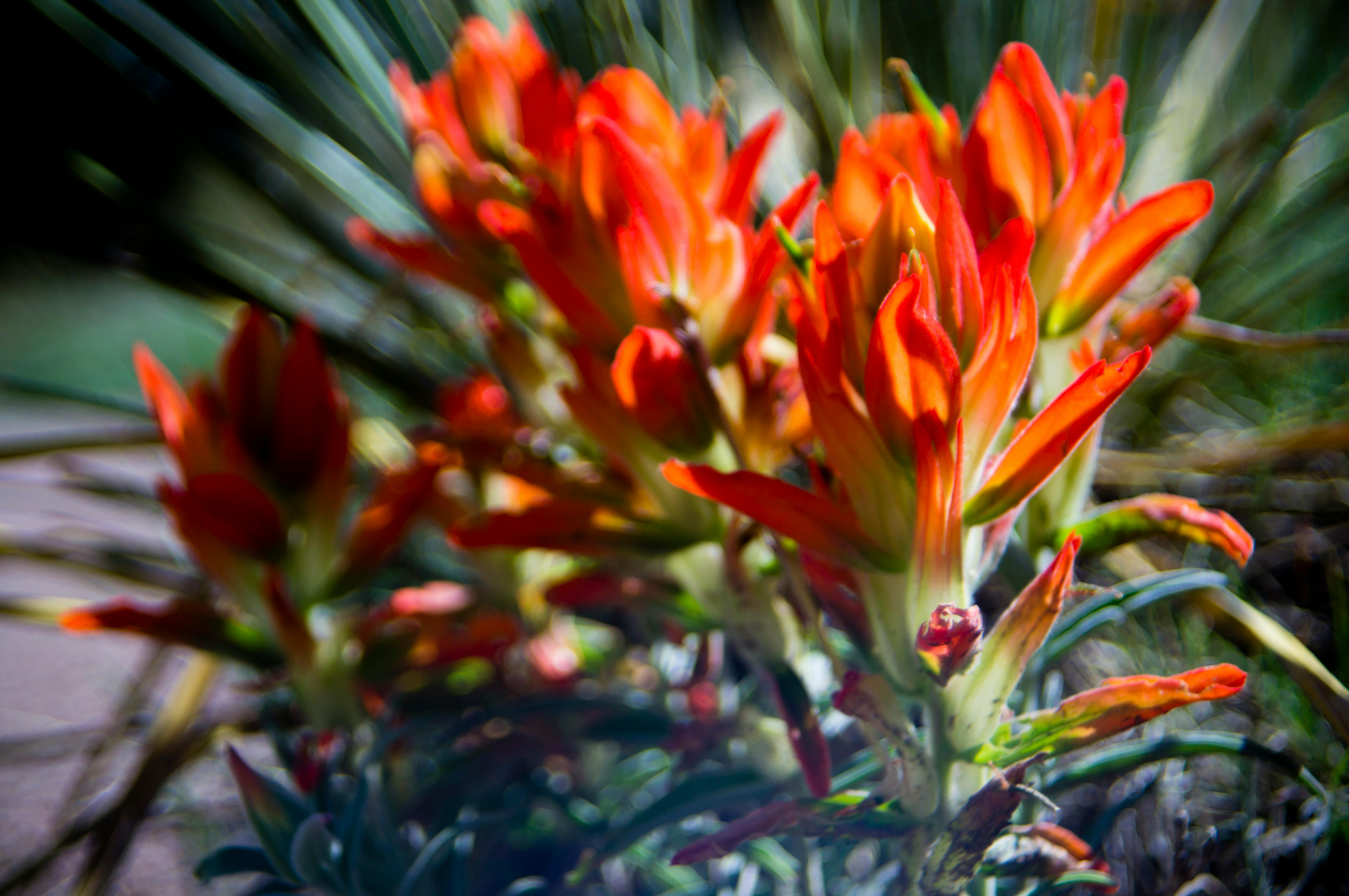 Eric Versaw - 사진