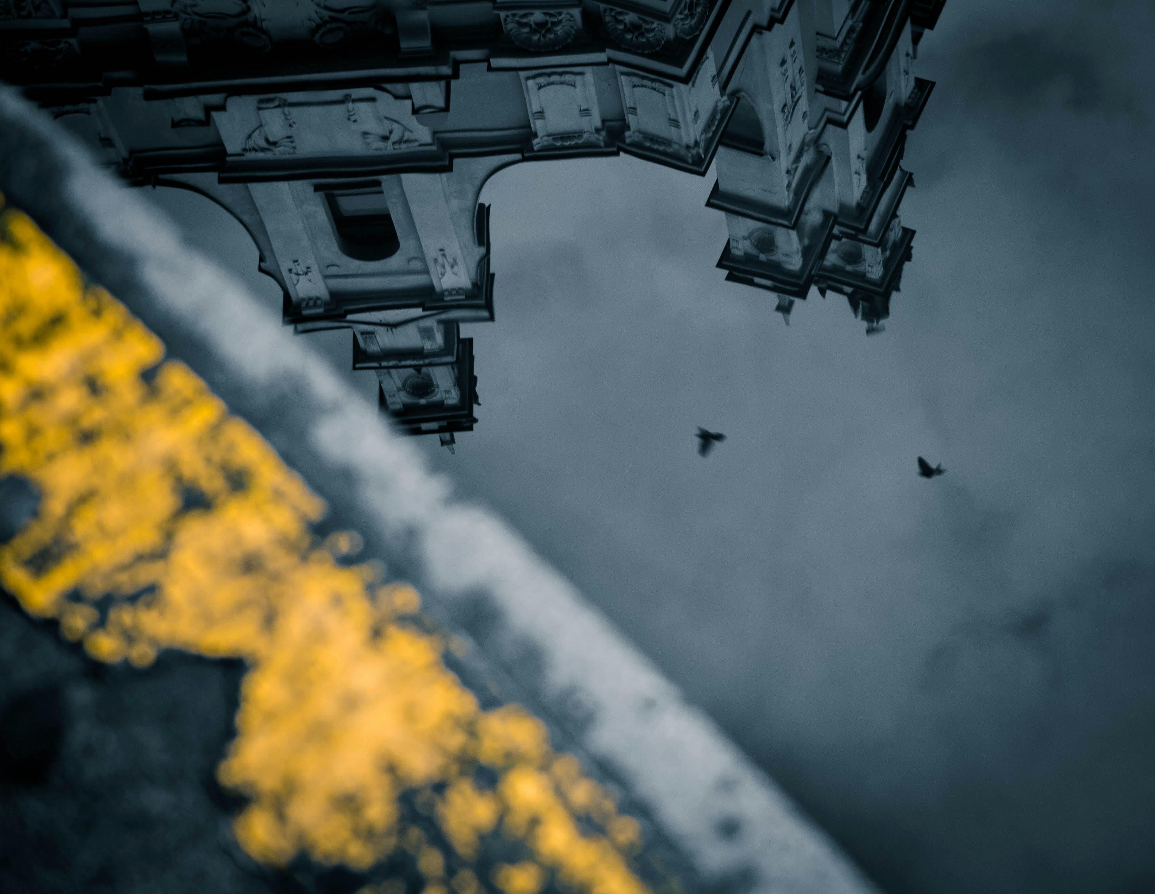 Polykarpos Tiftikoglou - Photography