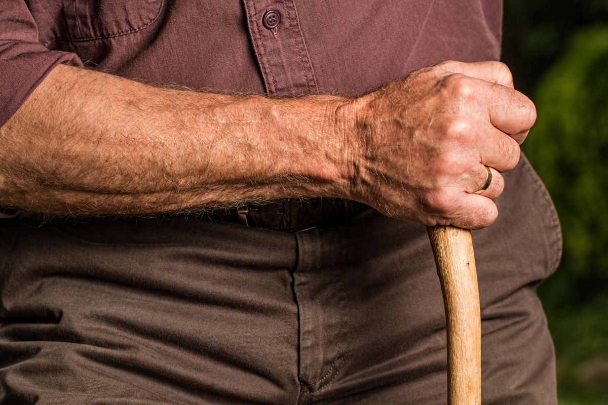 Aging Photos, Download The BEST Free Aging Stock Photos & HD Images