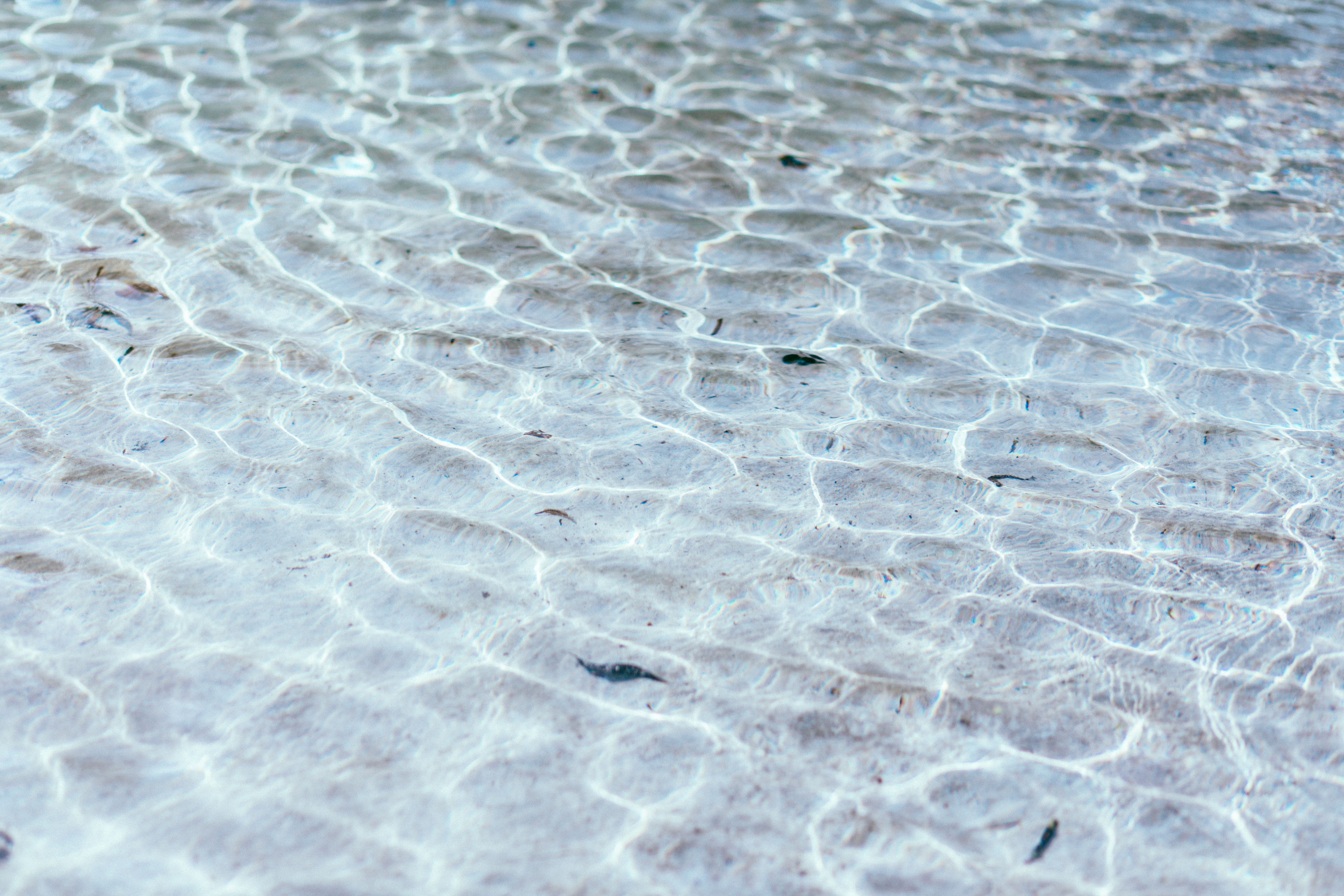 Body of Water · Free Stock Photo