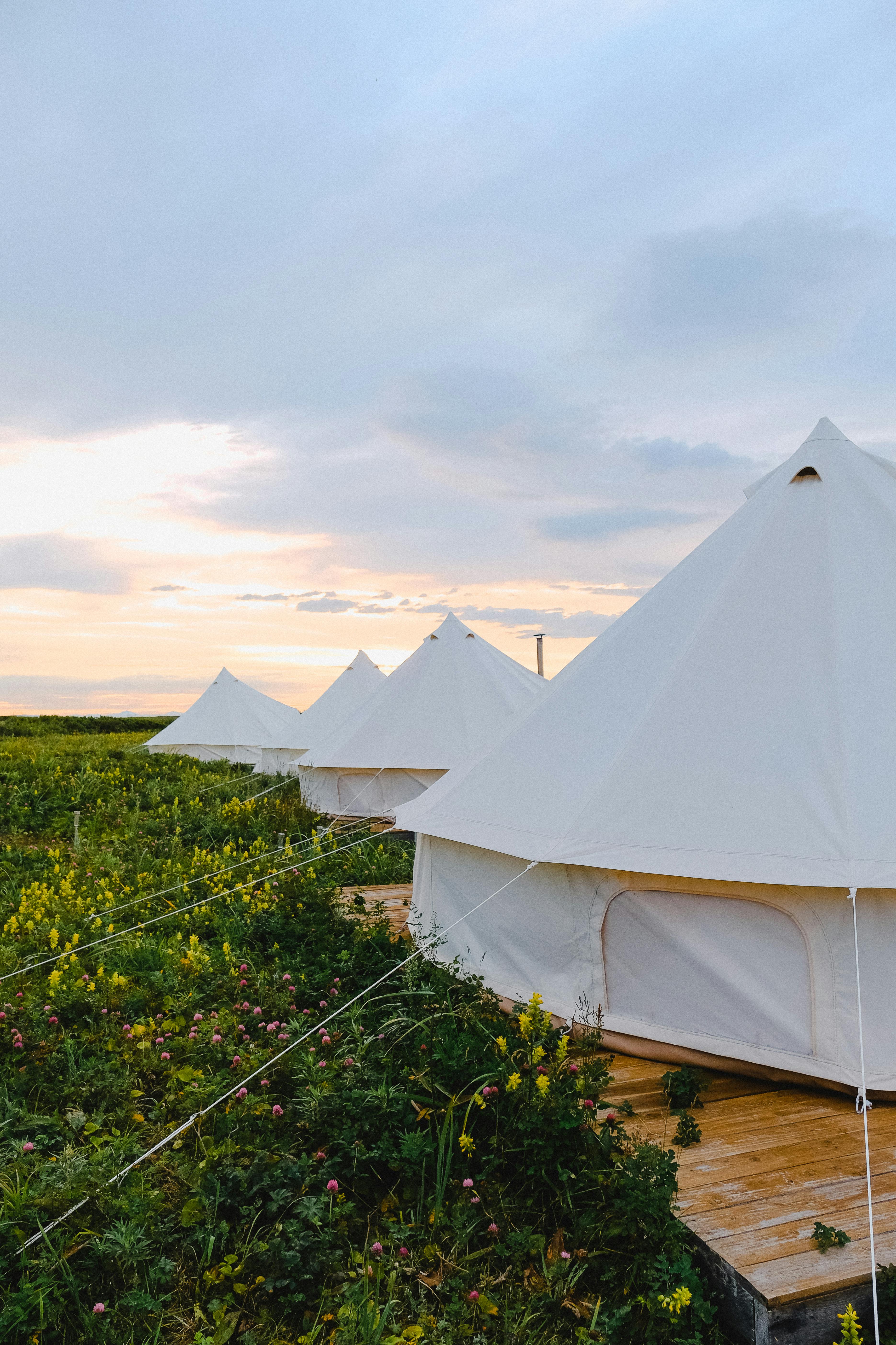 White Tents on Grass Field · Free Stock Photo