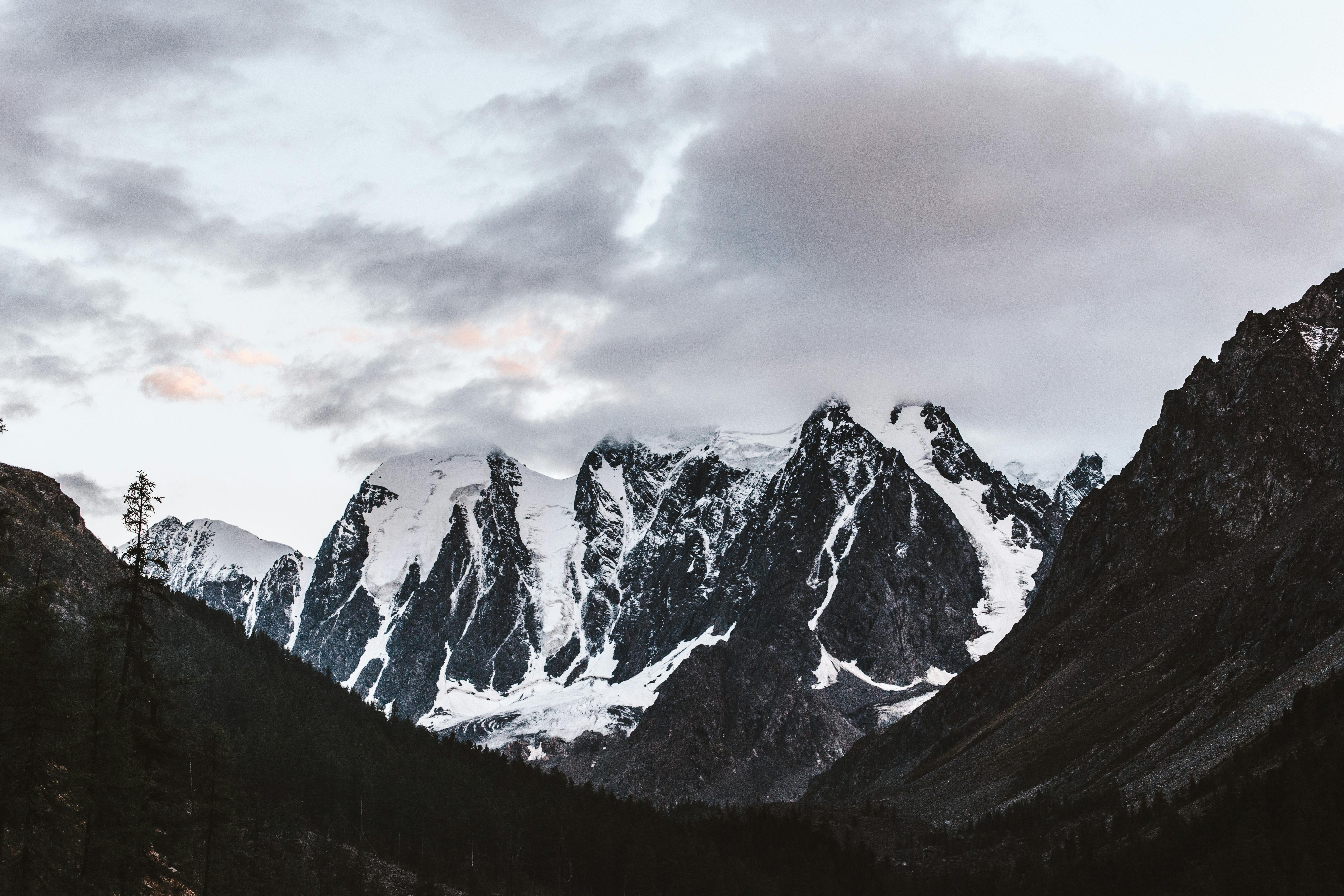 Forest Under Cloudy Sky · Free Stock Photo Forest Under Cloudy Sky · Free Stock Photo