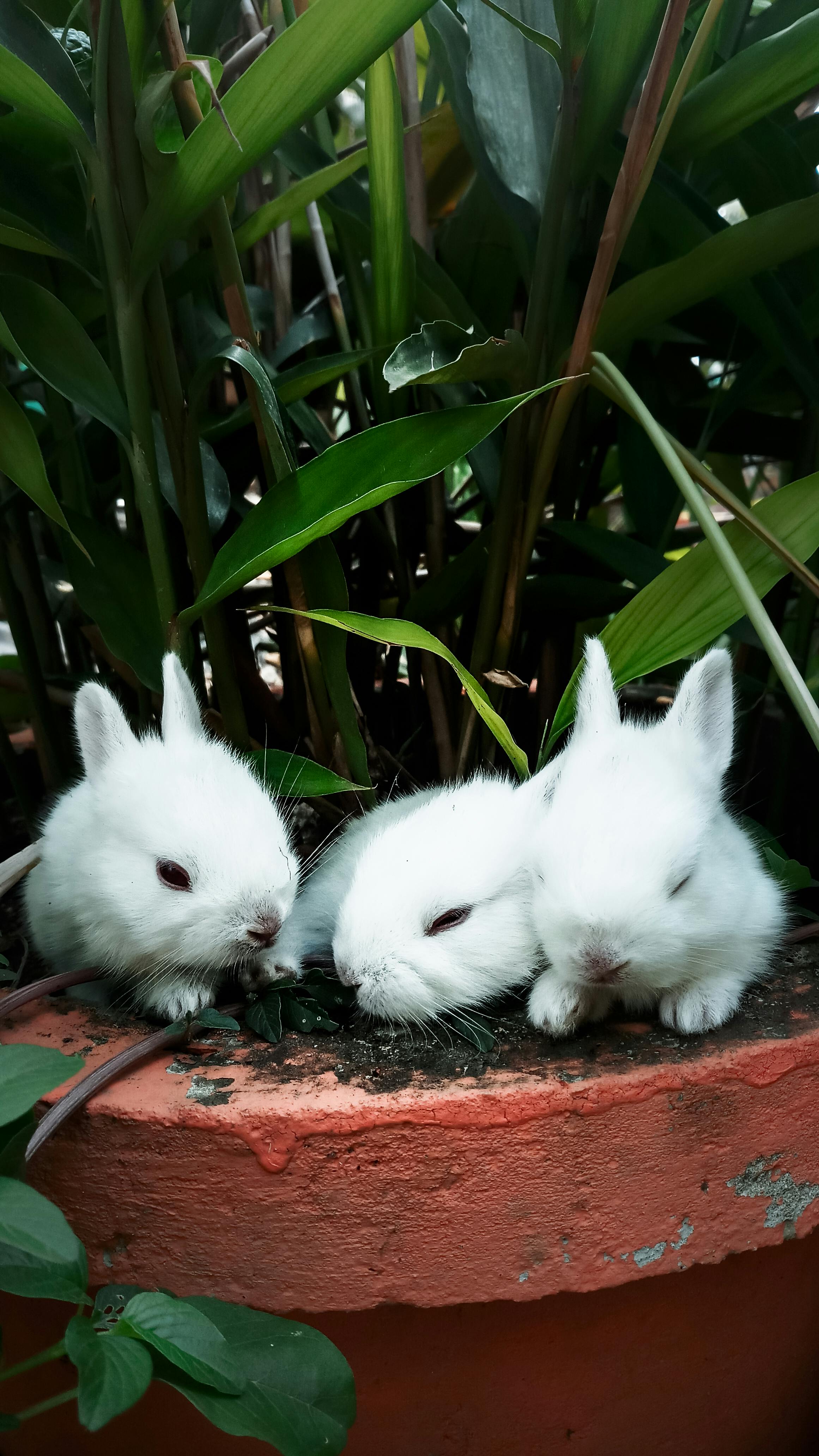 Unleash Your Creativity: Halloween Costumes Don't Have to Be Horror-Th ...