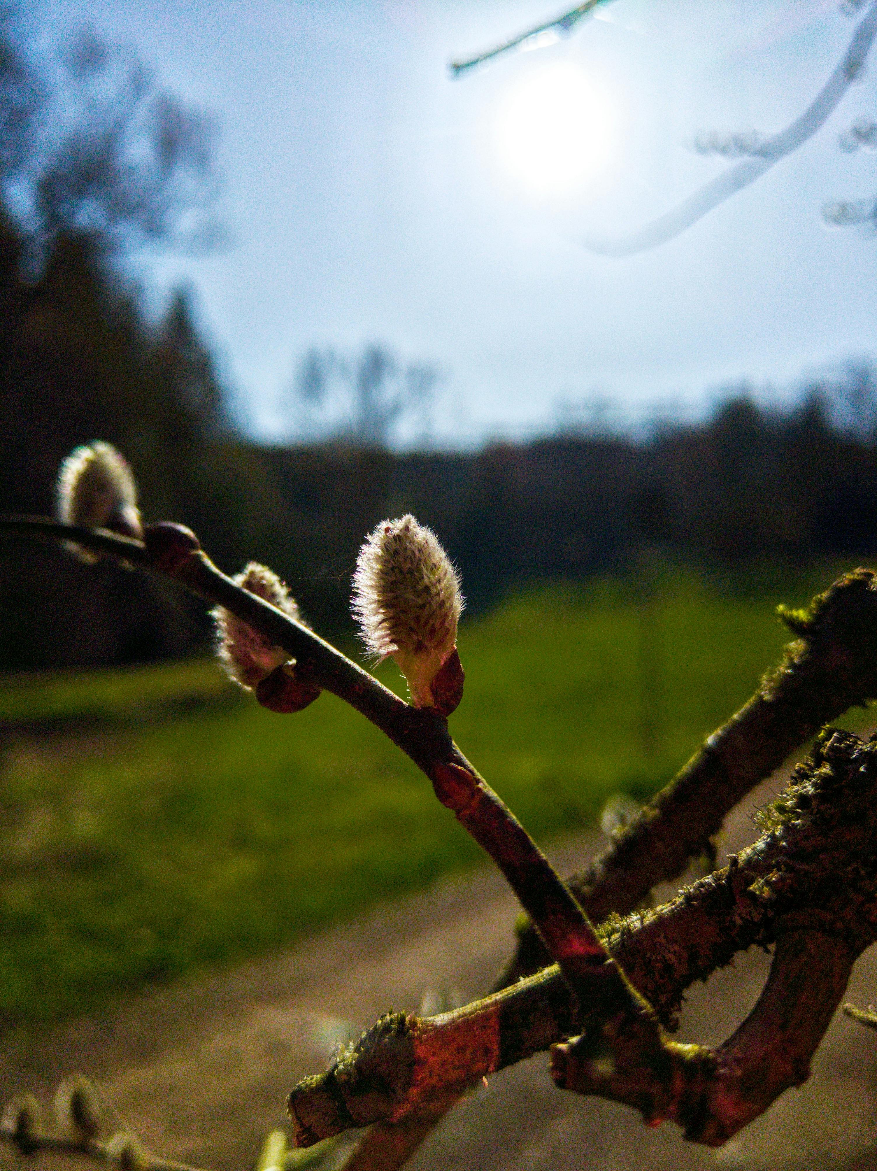 Andreas Barth - Photography