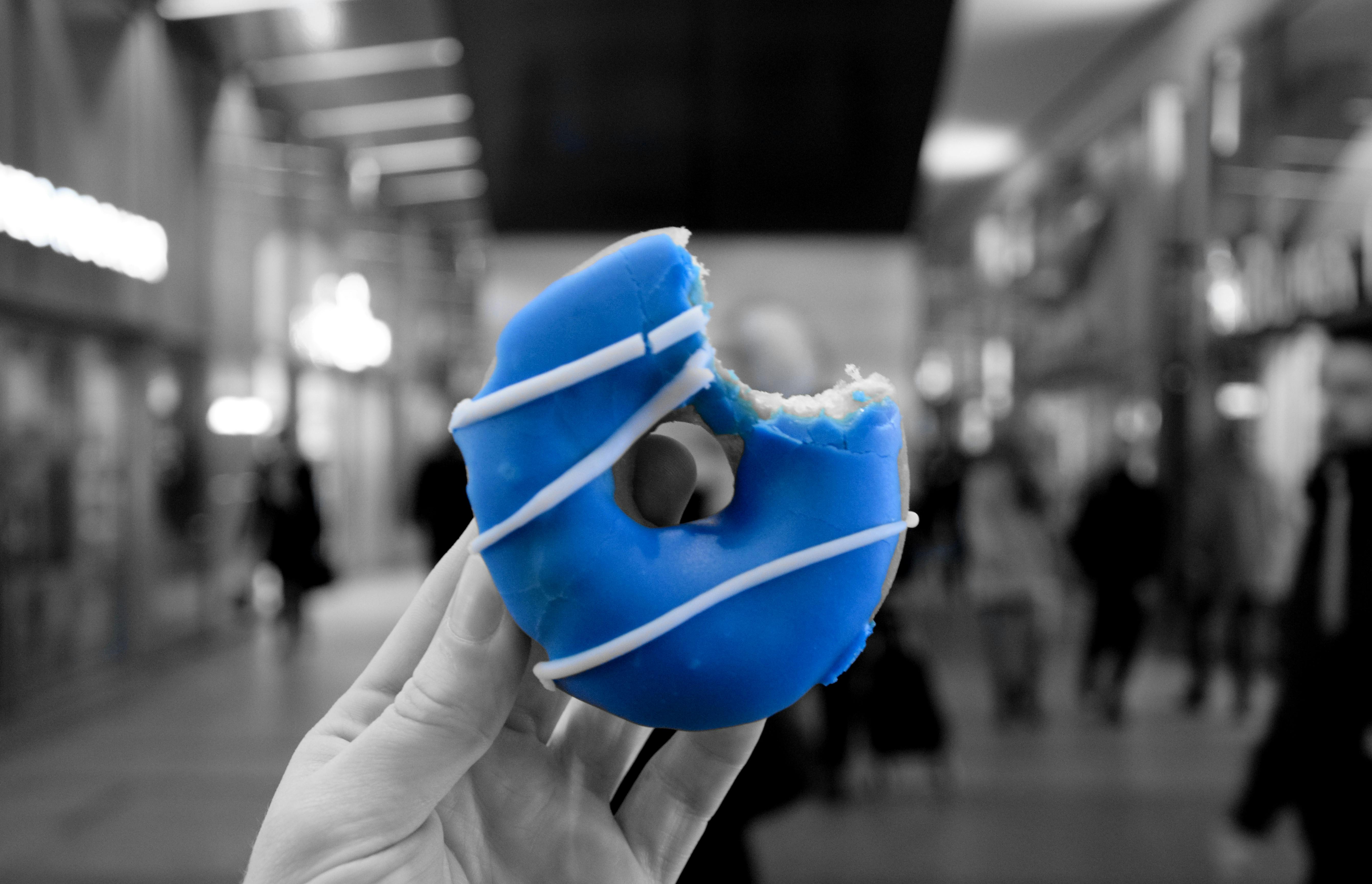 Free stock photo of blue, donut, selective color