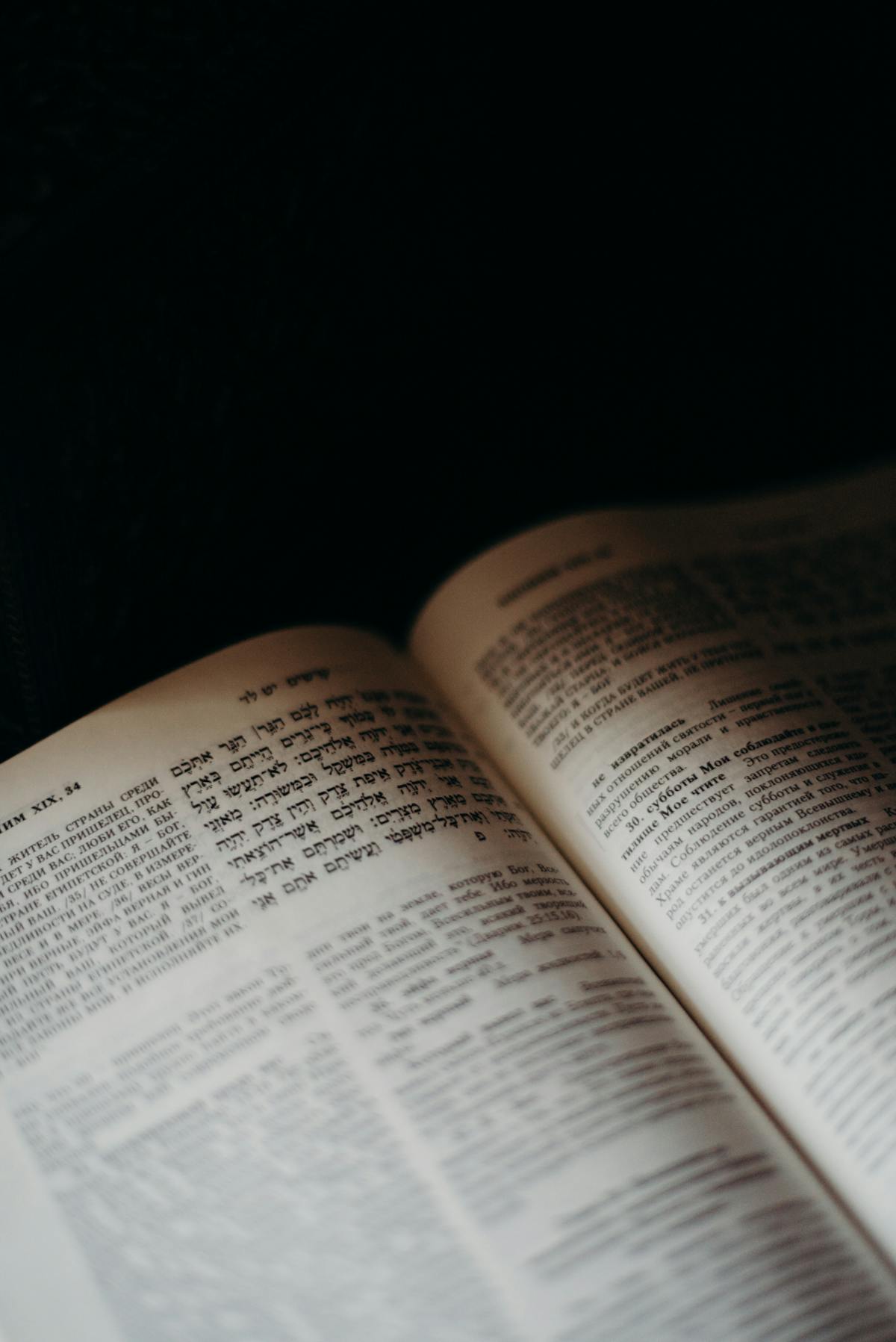 The Bible Photos, Download The BEST Free The Bible Stock Photos & HD Images