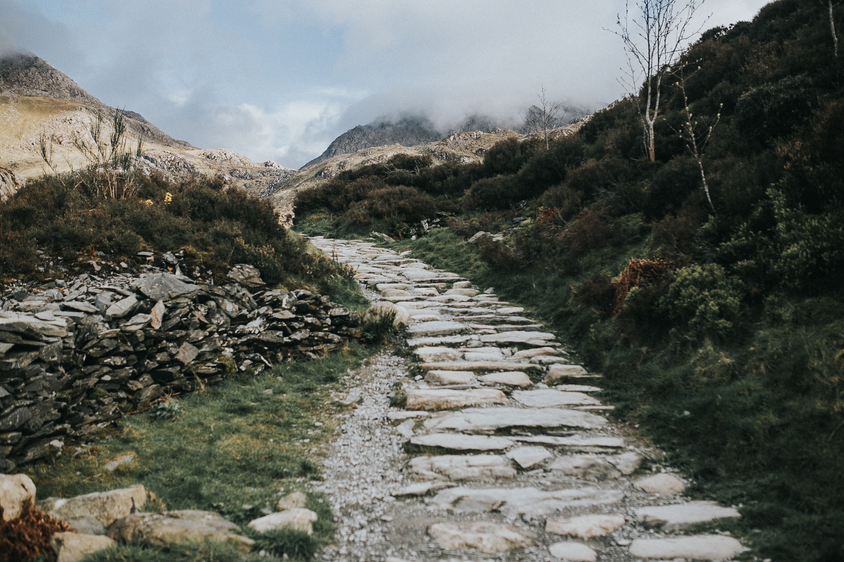 A Rocky Pathway · Free Stock Photo