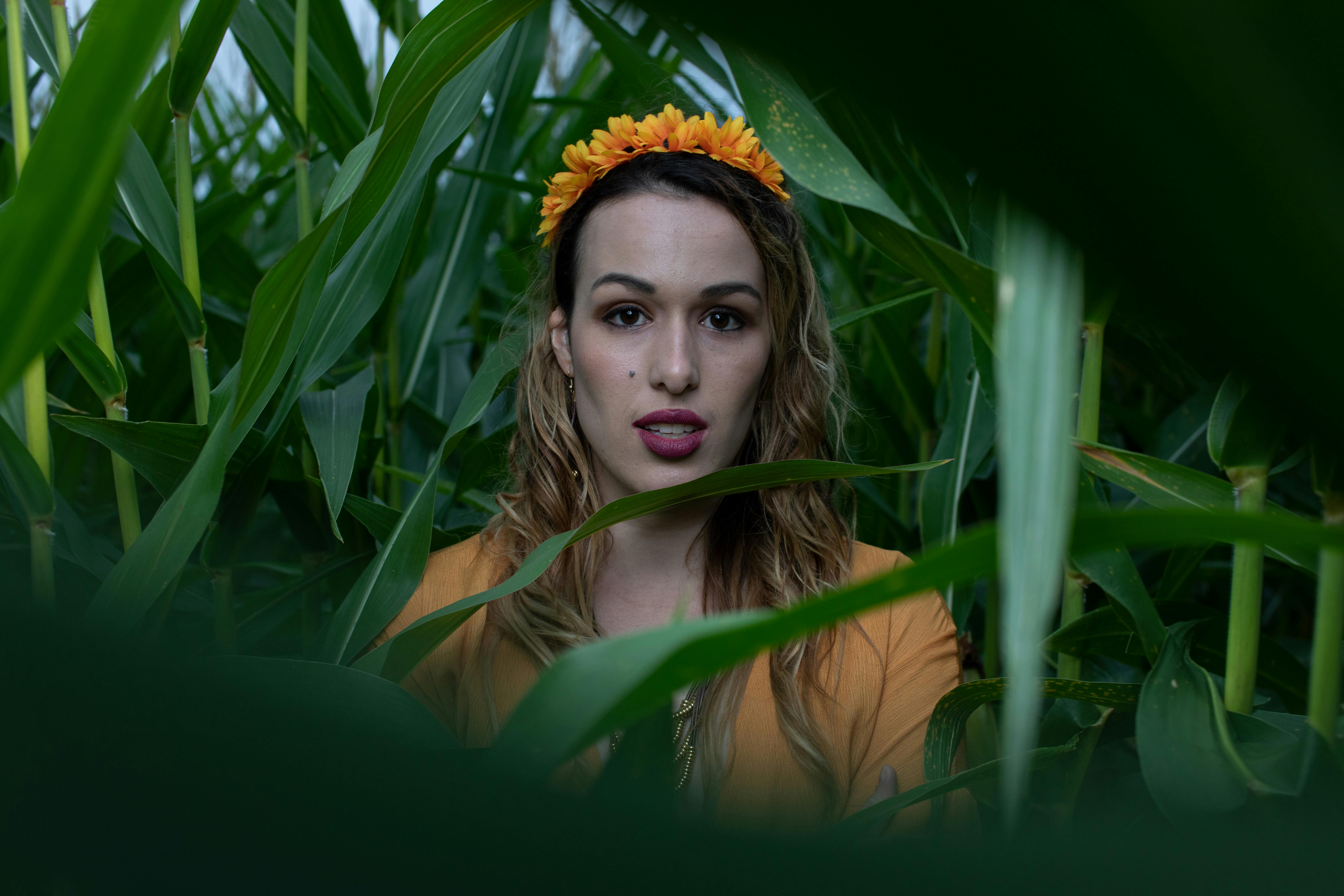 Dallas Texas Rural Photos, Download The BEST Free Dallas Texas Rural ...