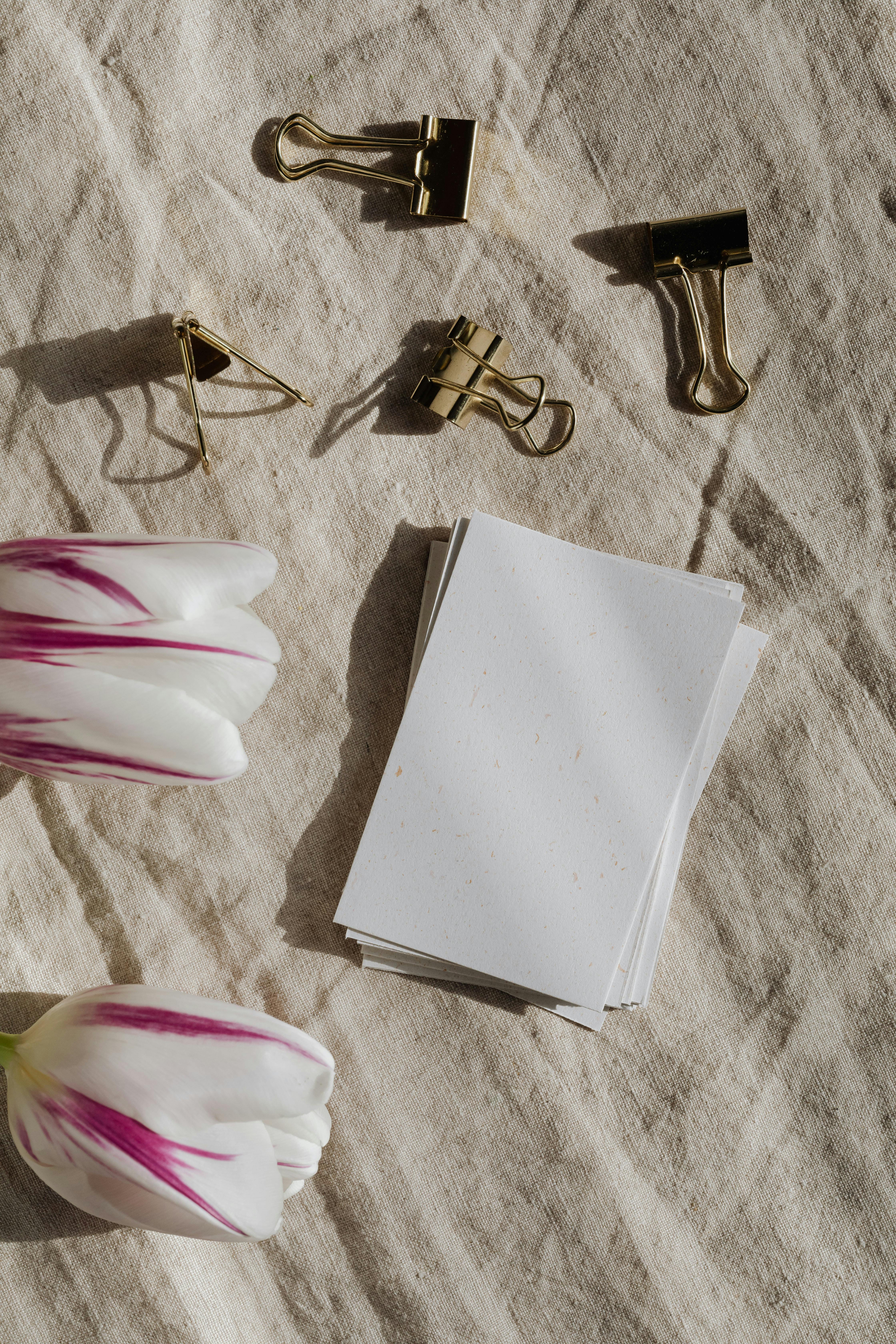 Photo Of Clear Papers Beside Paper Clips · Free Stock Photo