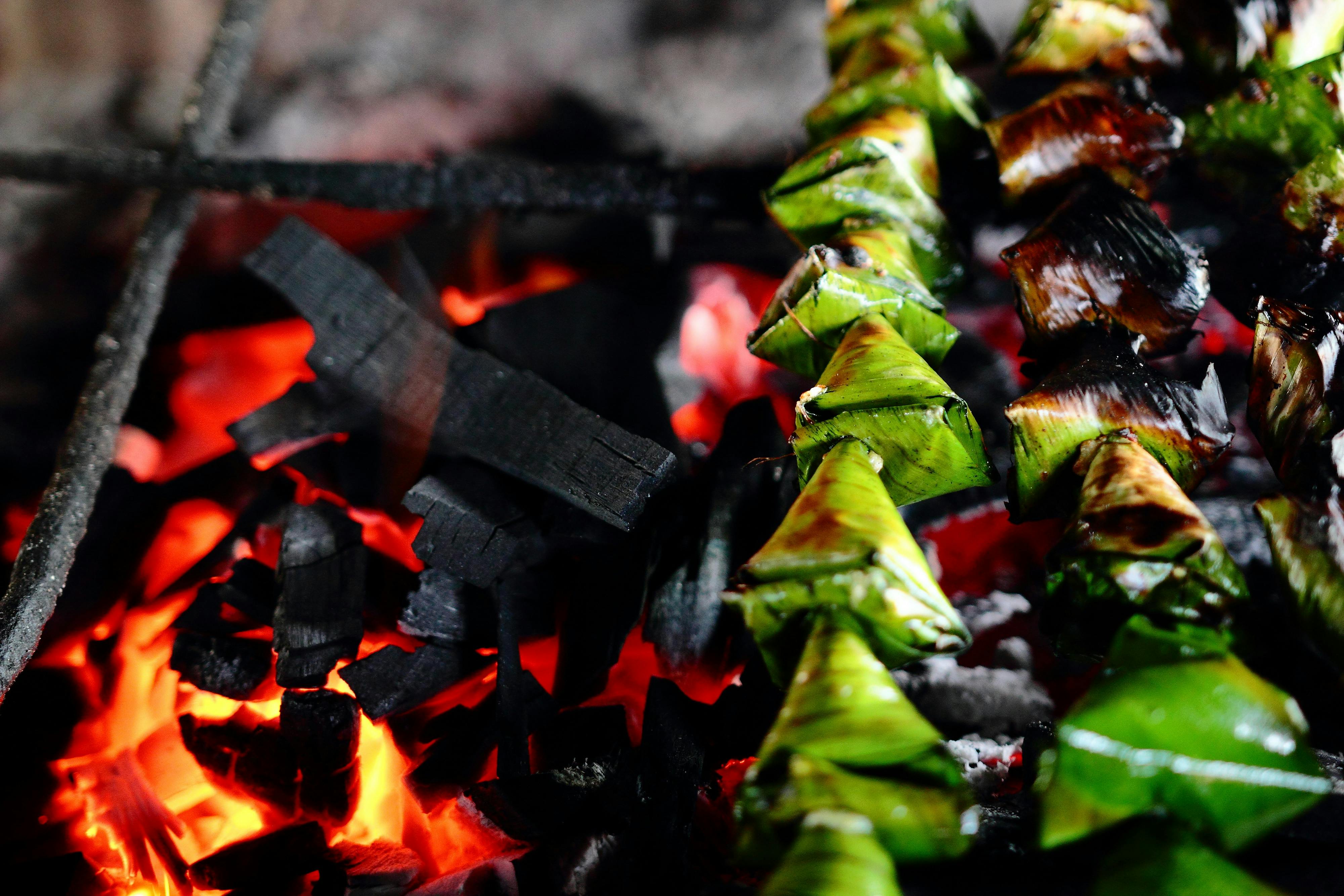 Grilled Leaves in Stick · Free Stock Photo
