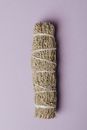 More 820 Sage Synonyms. Similar words for Sage.