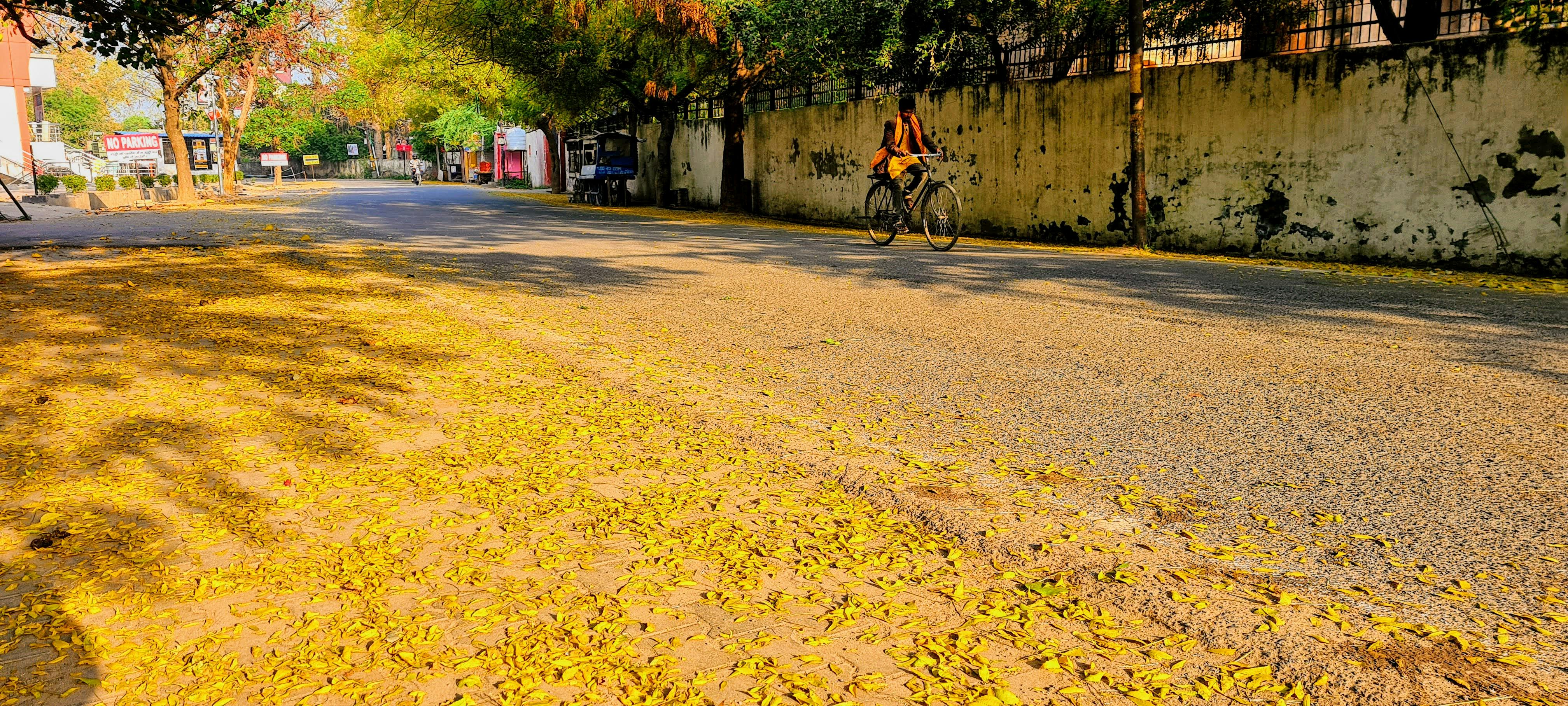 Siddharth Garg - Fotografía