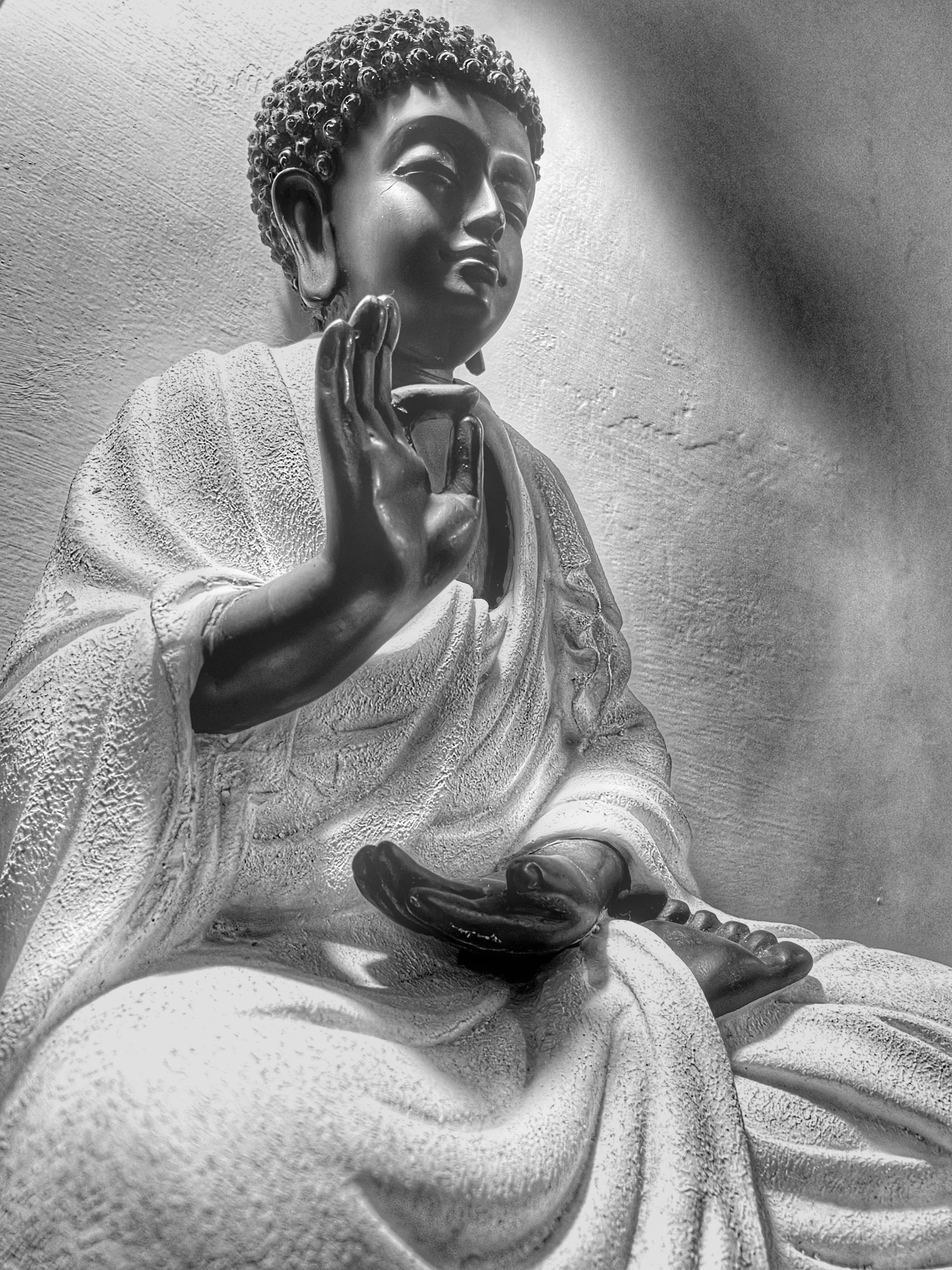 Mohit Tandon - Fotografía