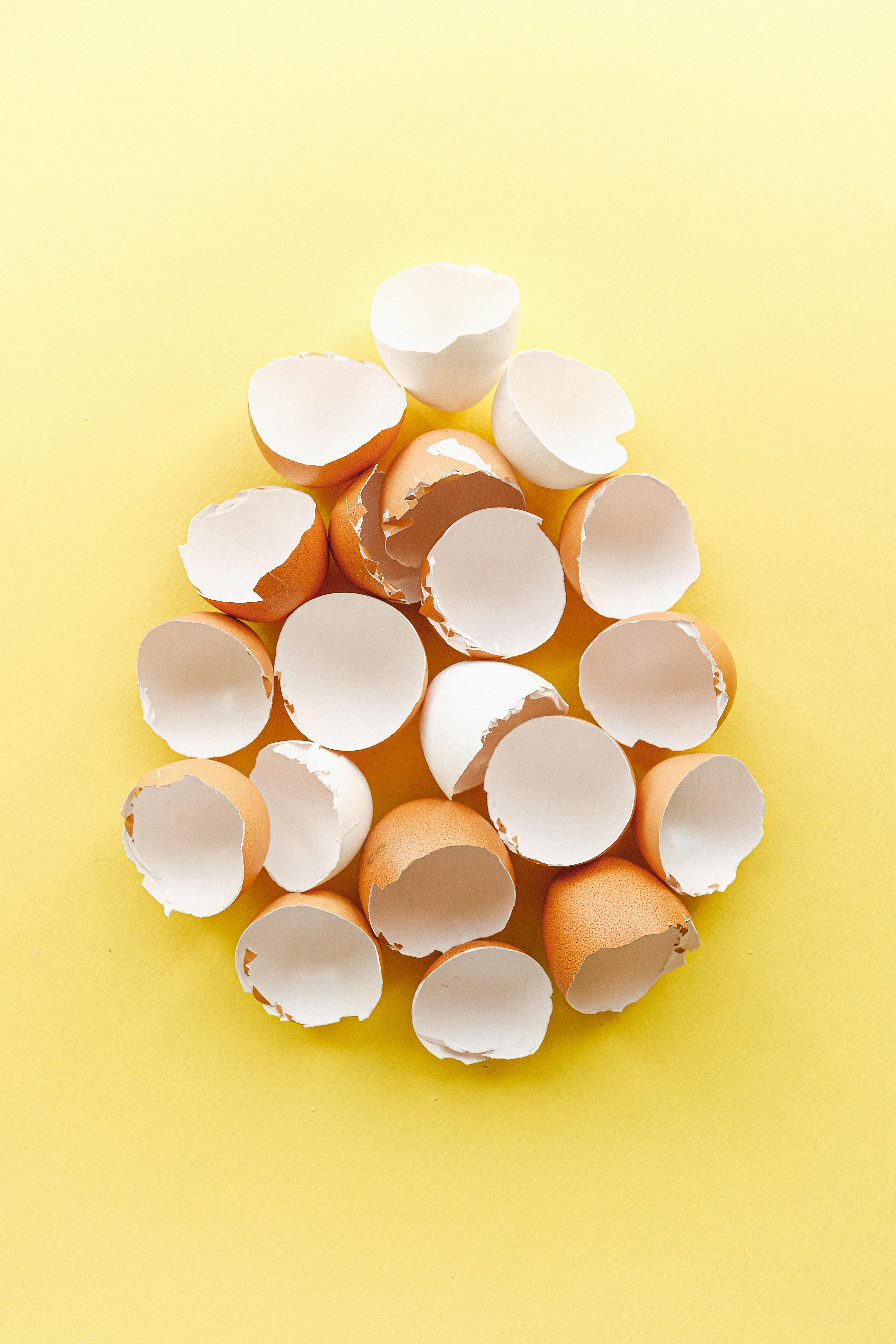 Eggshells in the Shape of an Egg · Free Stock Photo