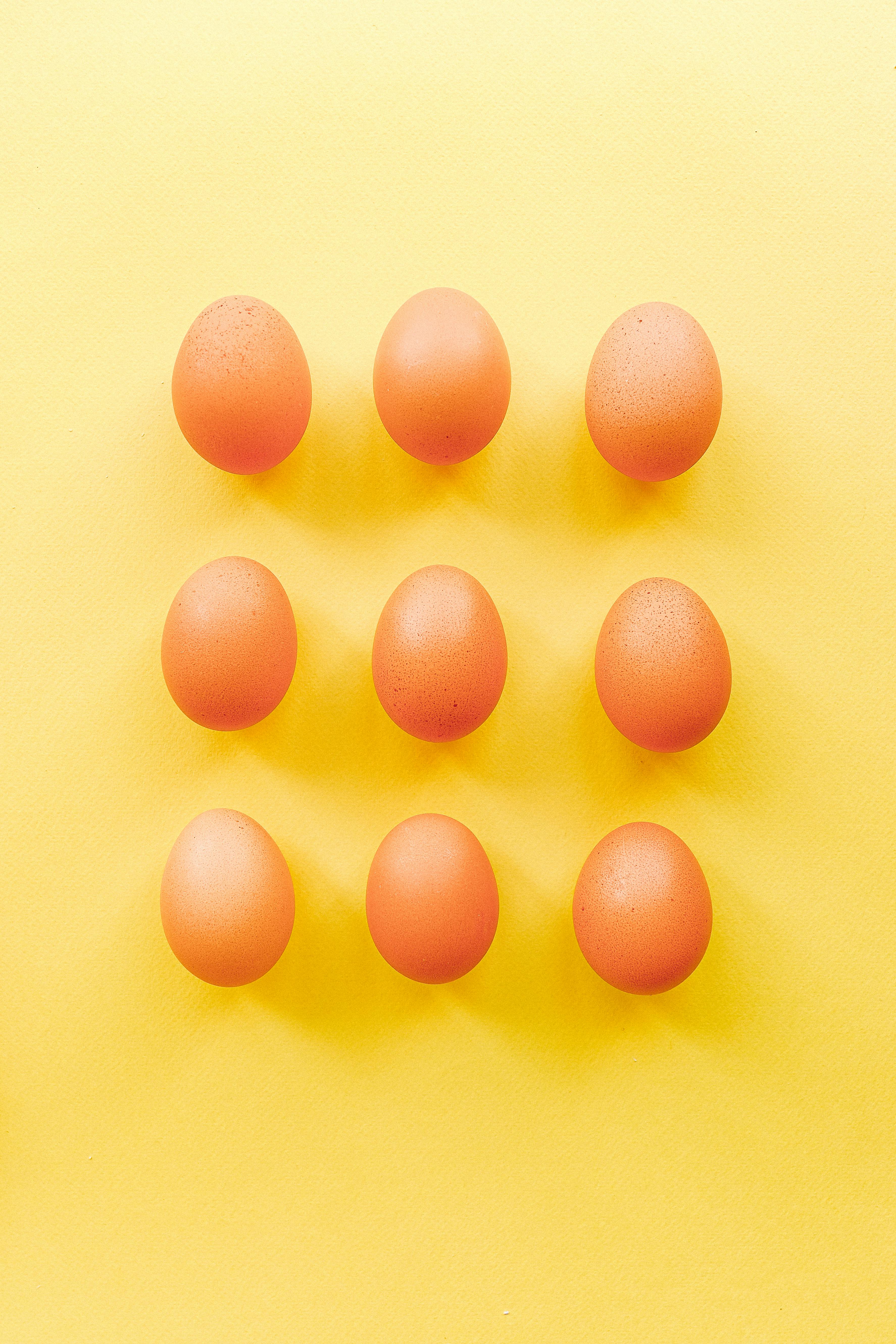 Eggs on a Yellow Background · Free Stock Photo
