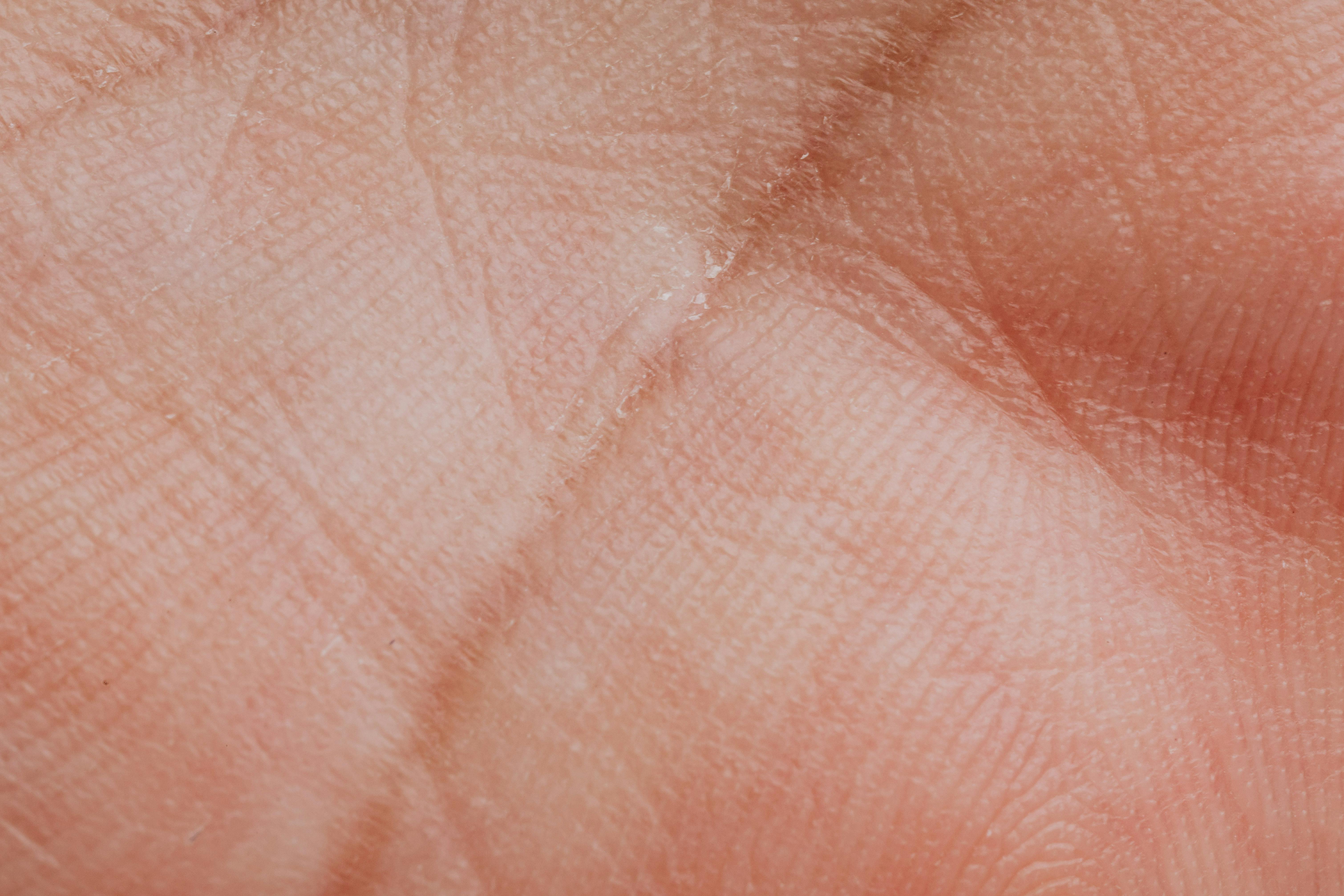 Hand Palm Close Up Photo · Free Stock Photo