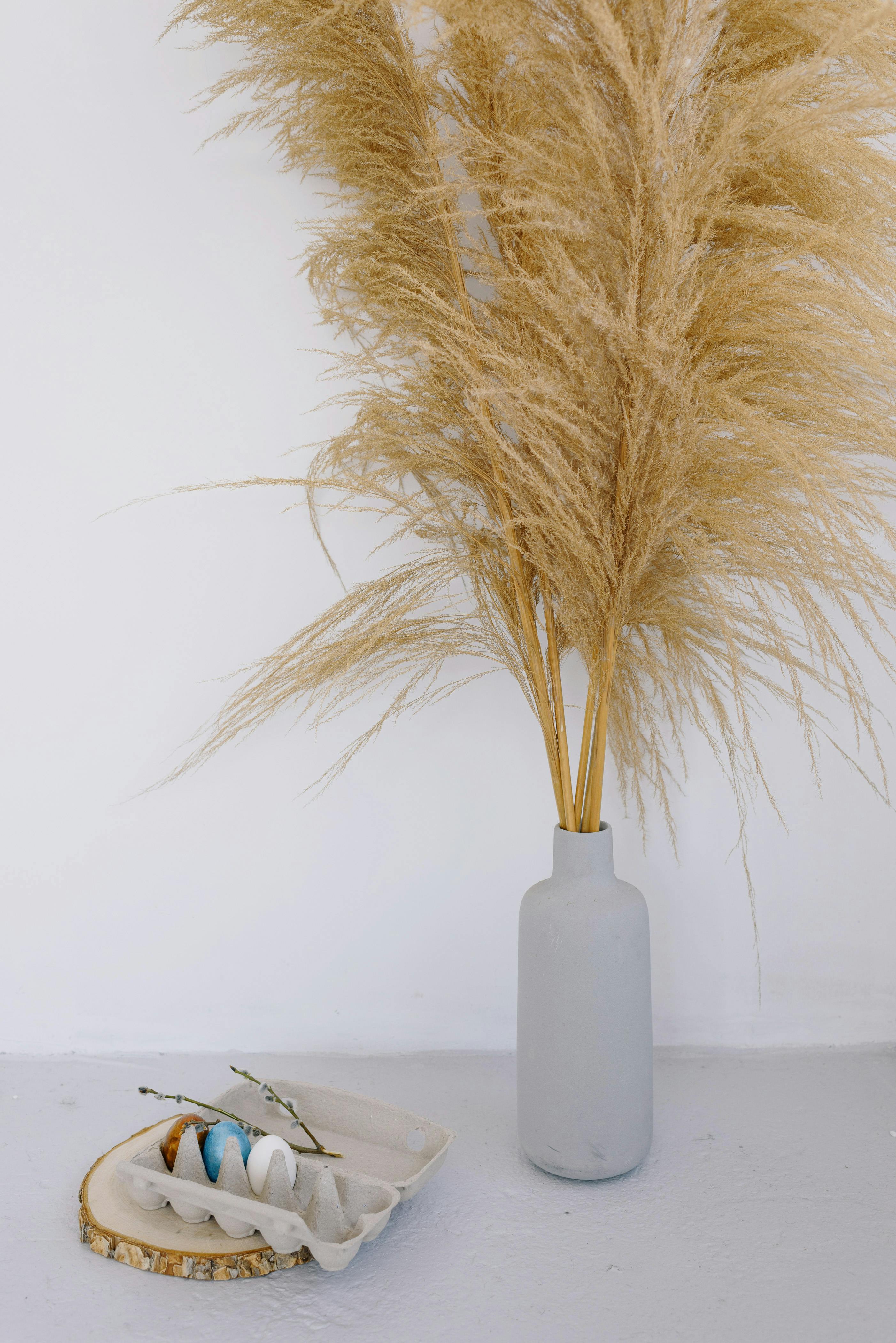 Christian Nature Background Photos, Download The BEST Free Christian ...