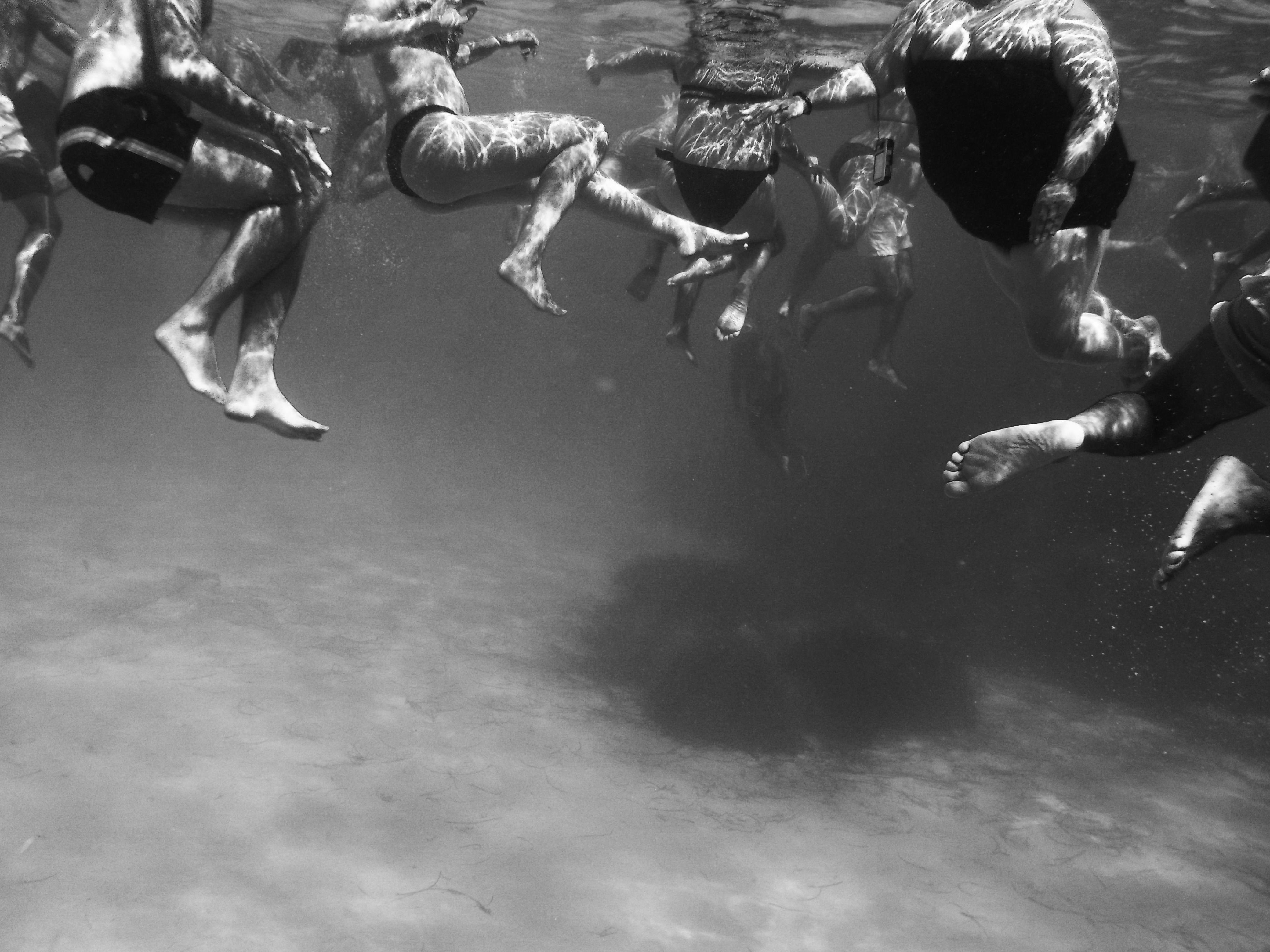 Unrecognizable people swimming in sea water · Free Stock Photo